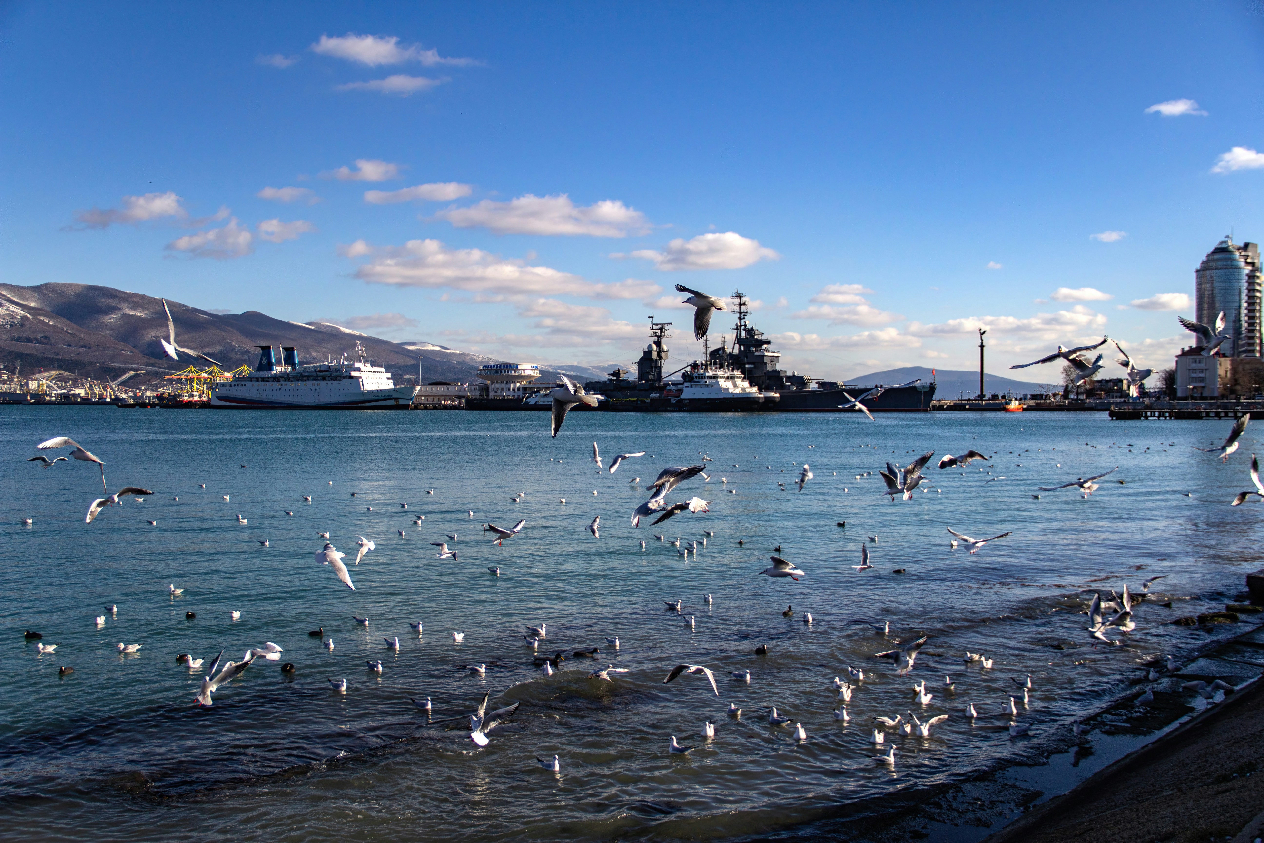 Seaborne Parade: Seagulls over the industrial harbor
