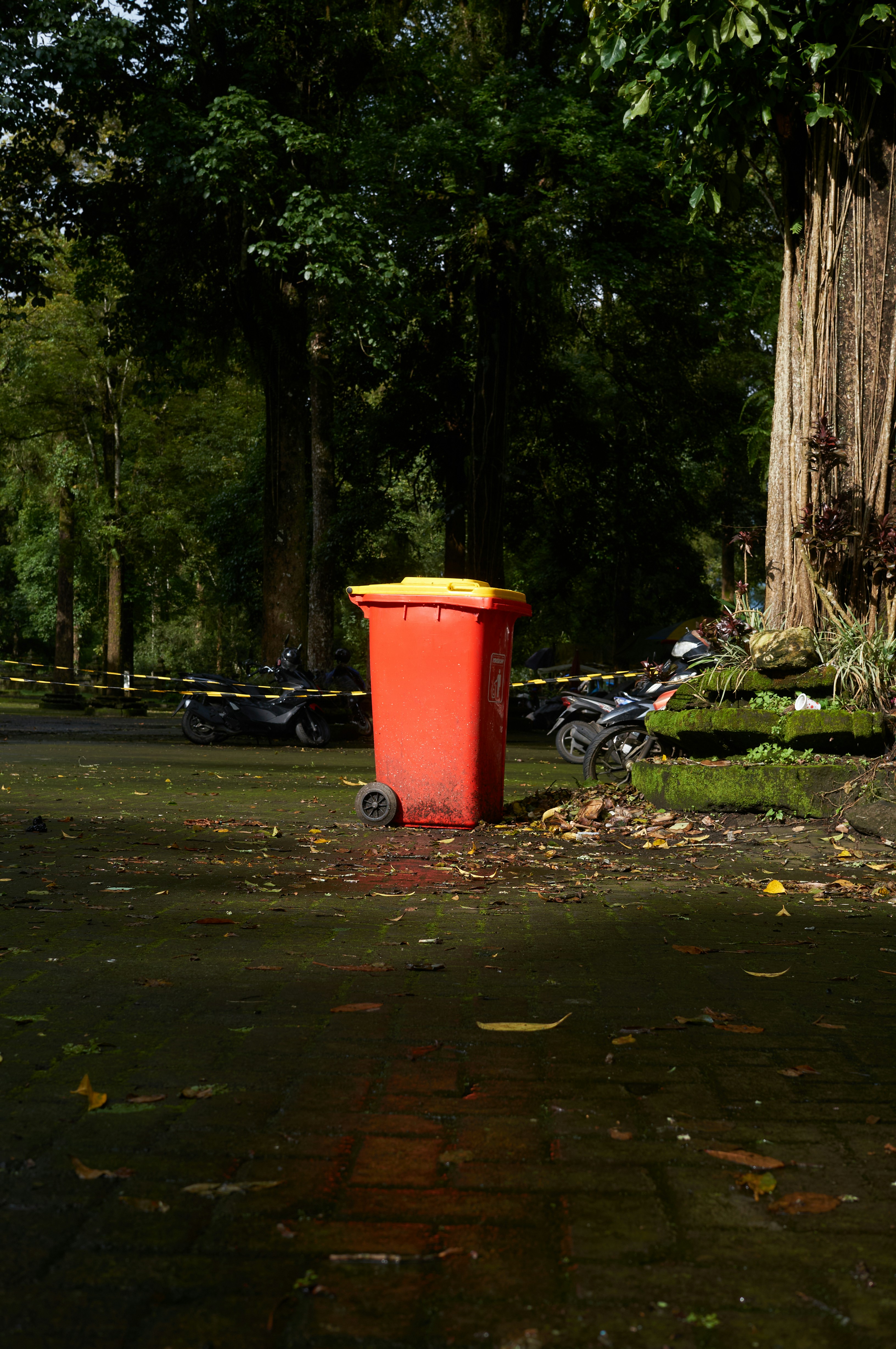 Orange Wheelie Bin in a Quiet Park Alley