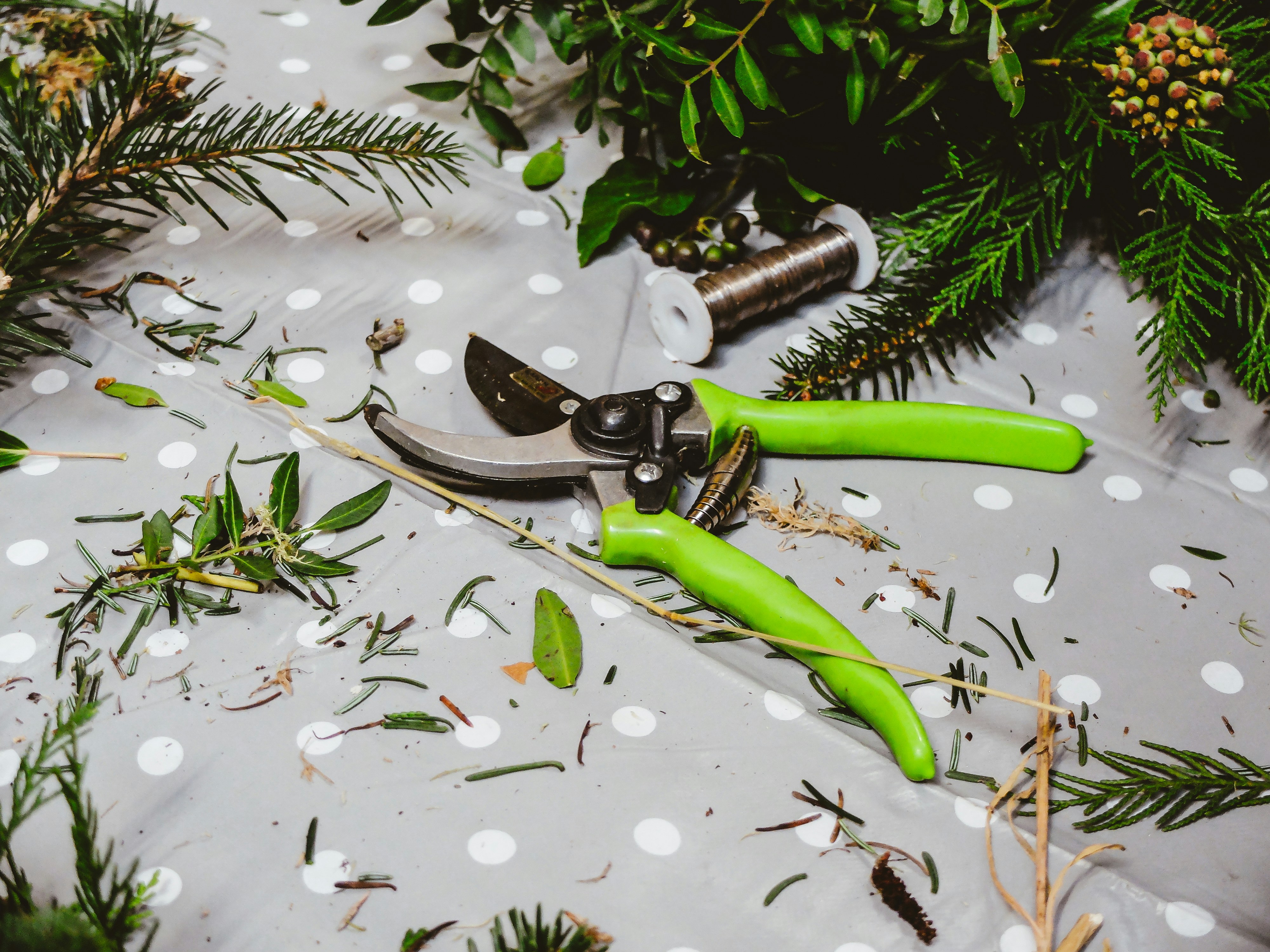 Green-handled pruning shears rest among sprigs and evergreen trimmings