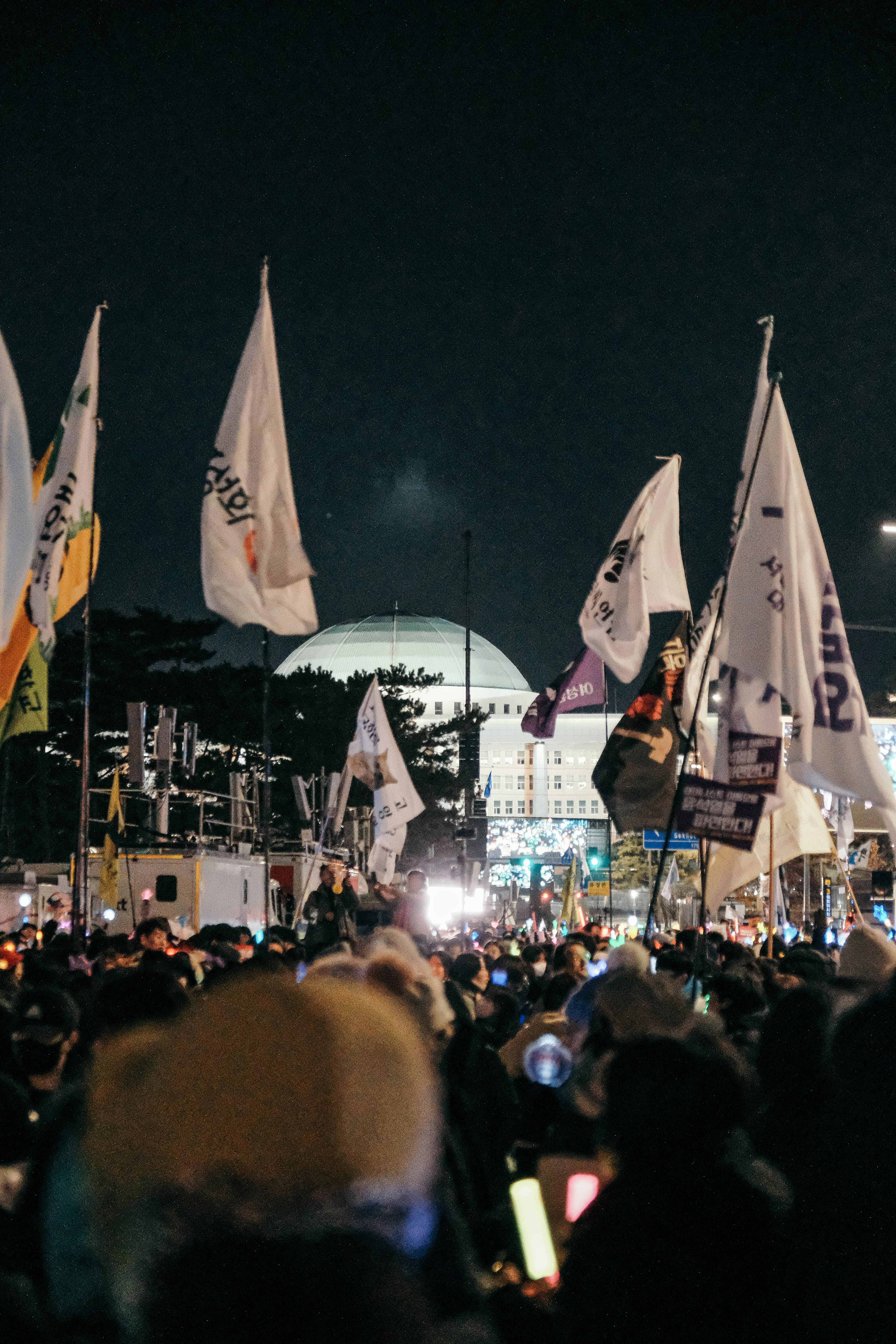 Flaglit Night Rally: A Dome-Backed Crowd Illuminated by Stage Light