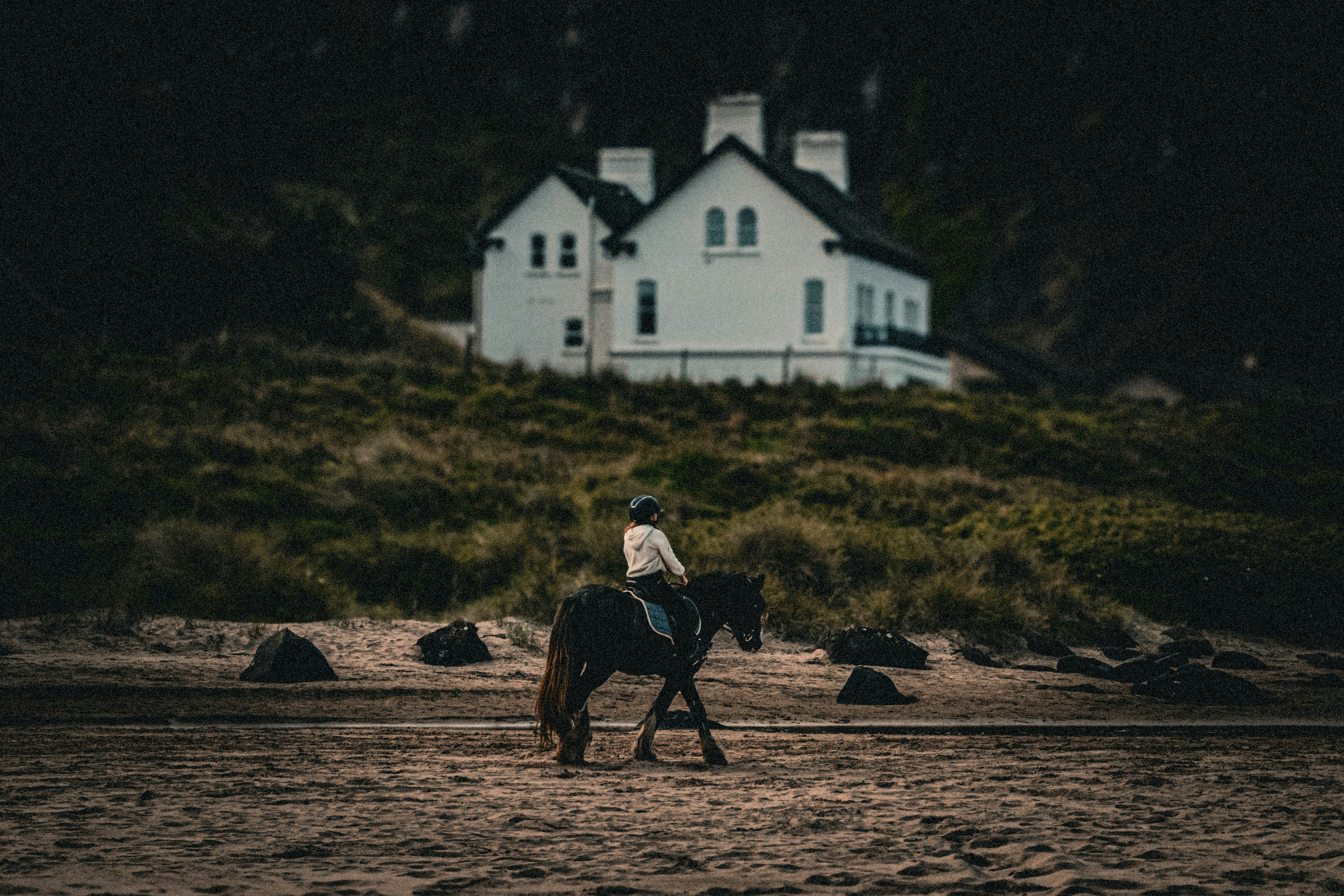 Solitary Ride by the Seaside Manor