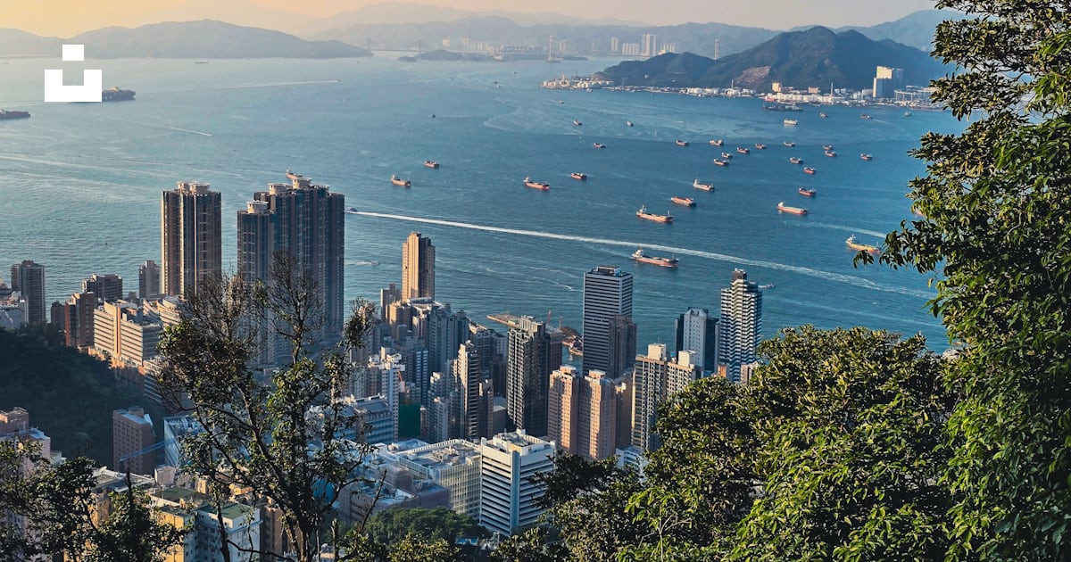 언덕 꼭대기에서 바라본 홍 시내의 전망 사진 Unsplash의 무료 홍콩 섬hong Kong Island 이미지
