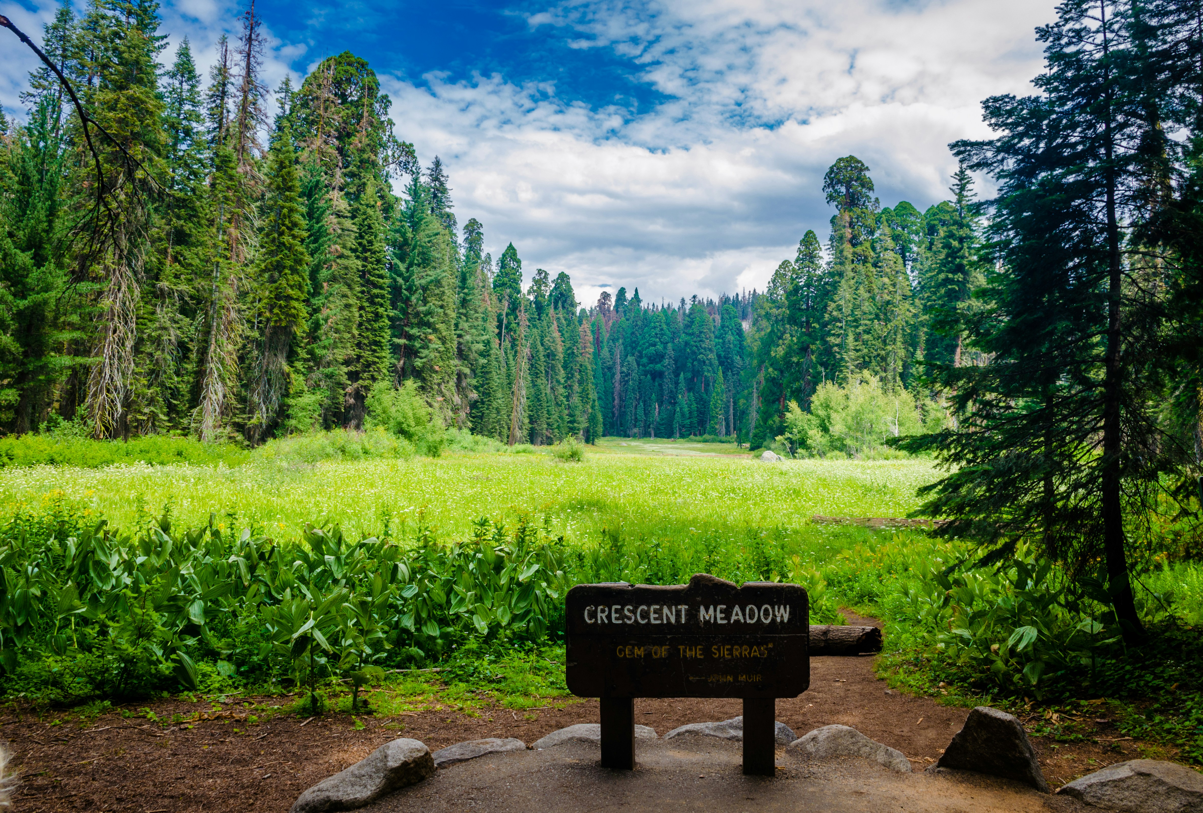 Stories From Sequoia