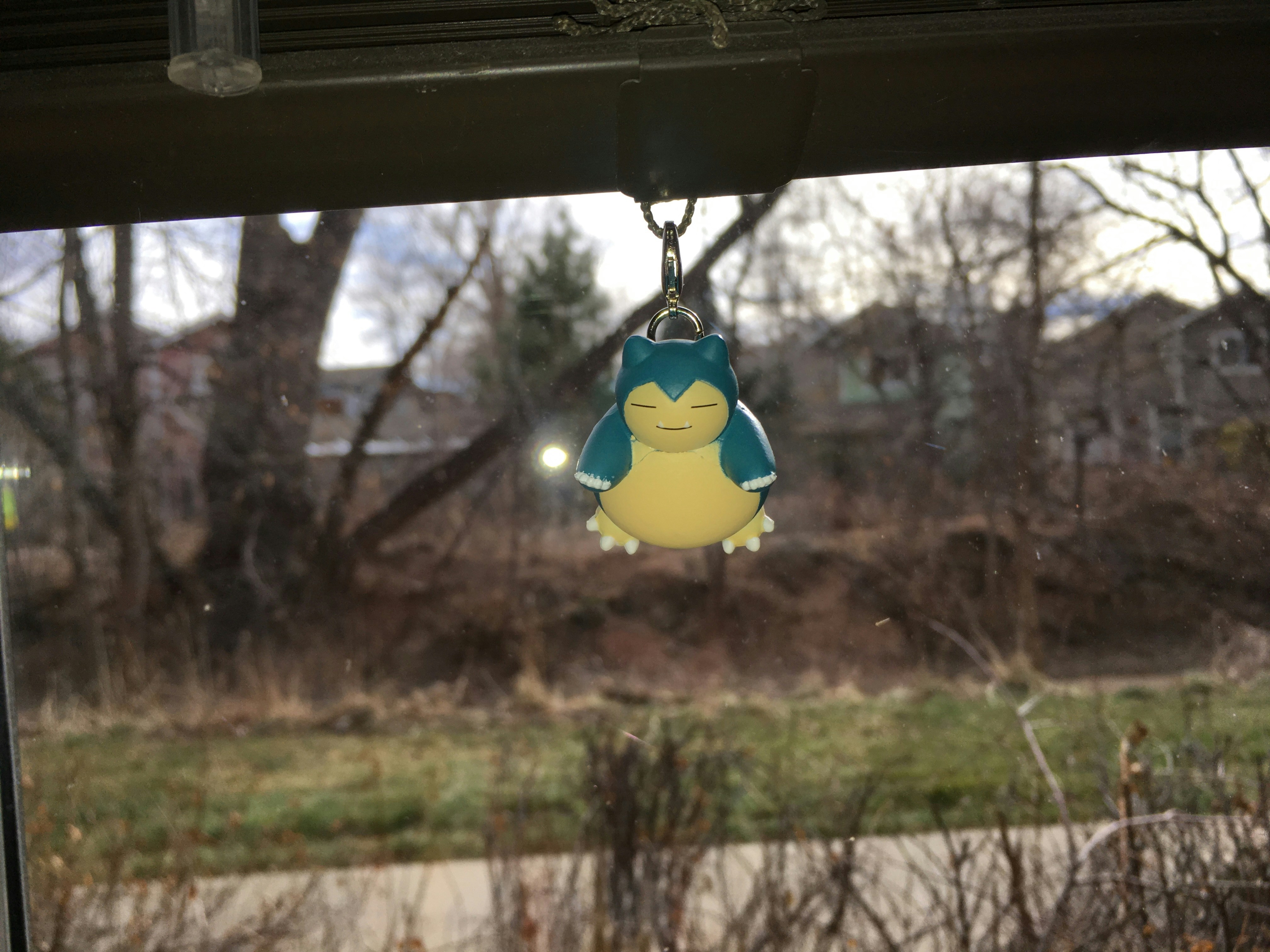 Charming Guardian of the Window