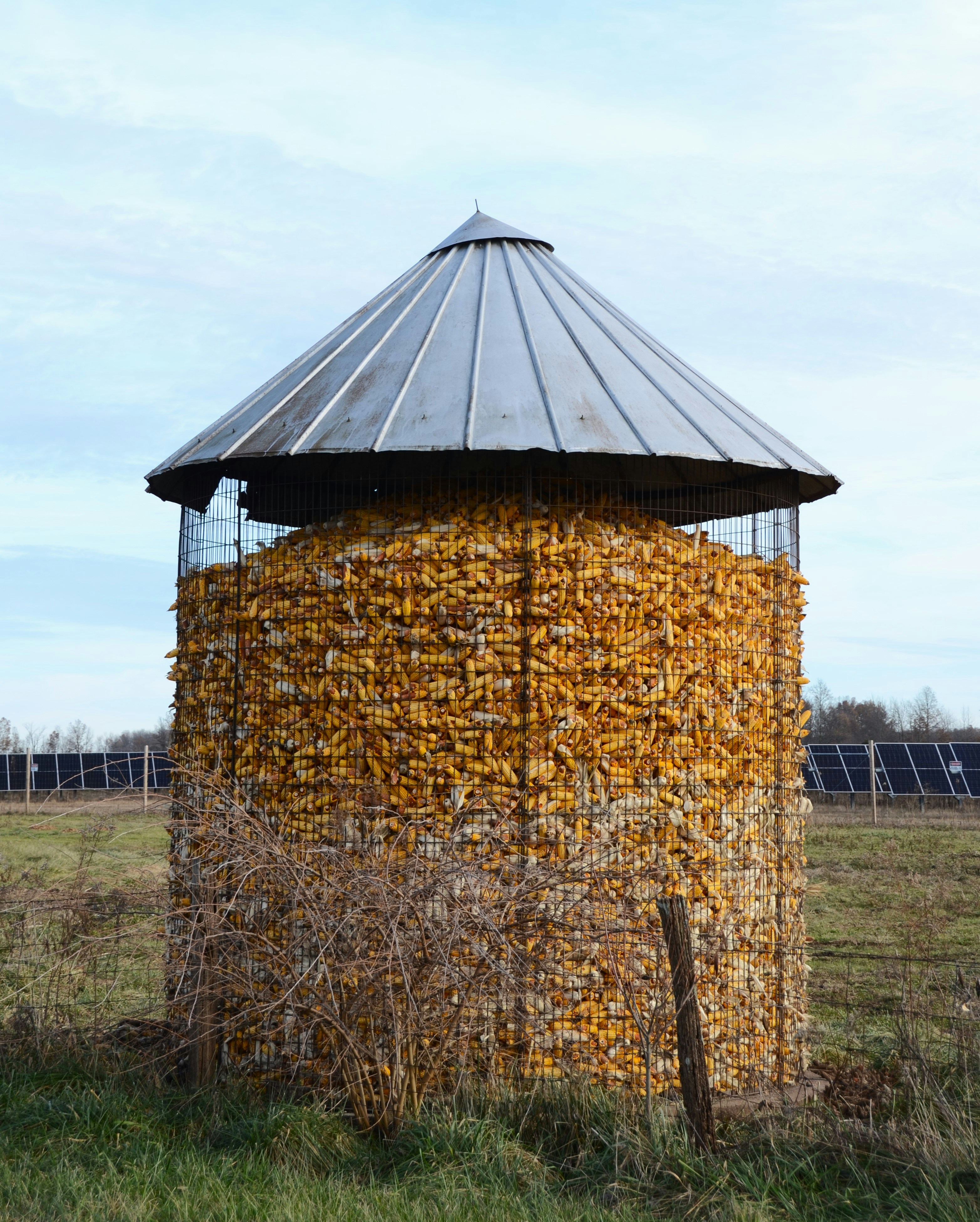 A large round structure made out of plastic bottles photo – Free ...