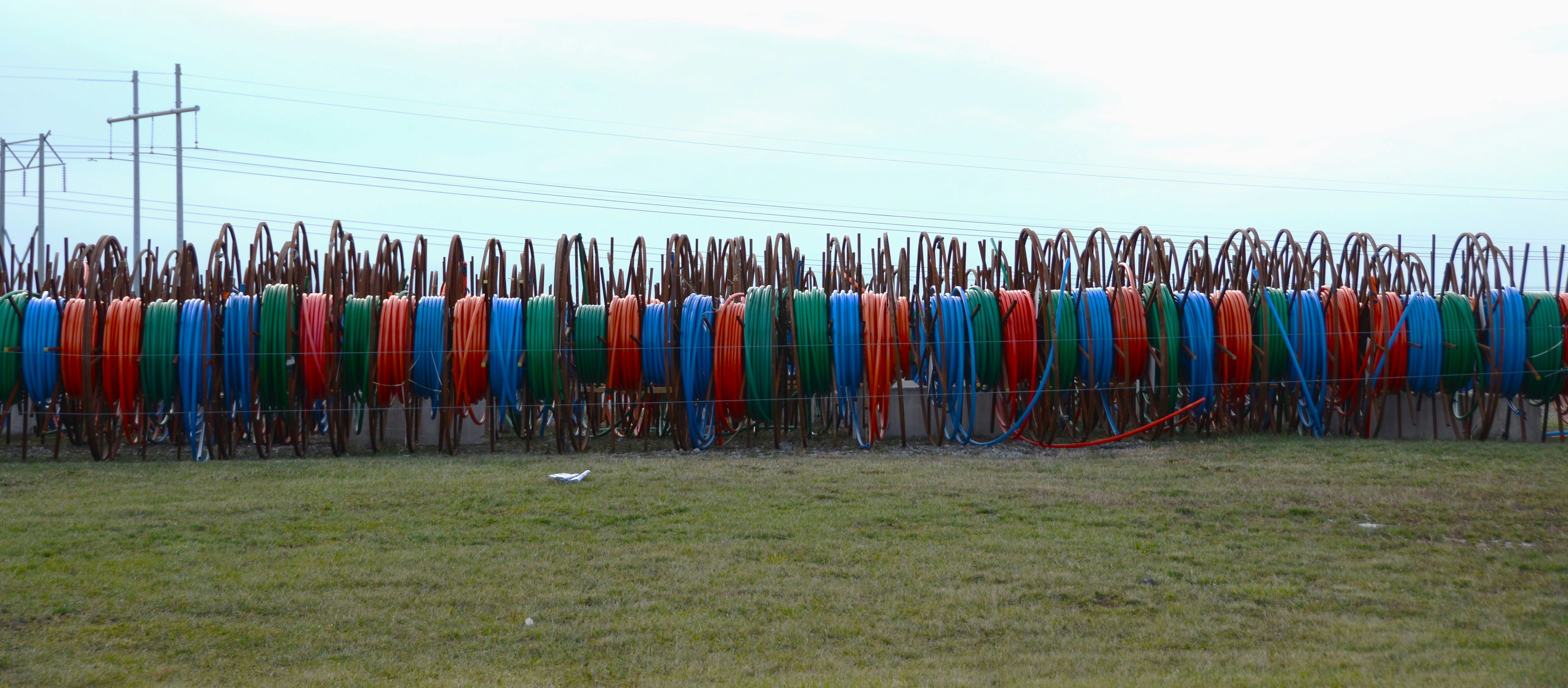Rainbow Rings Along the Meadow: A Linear Splash of Color