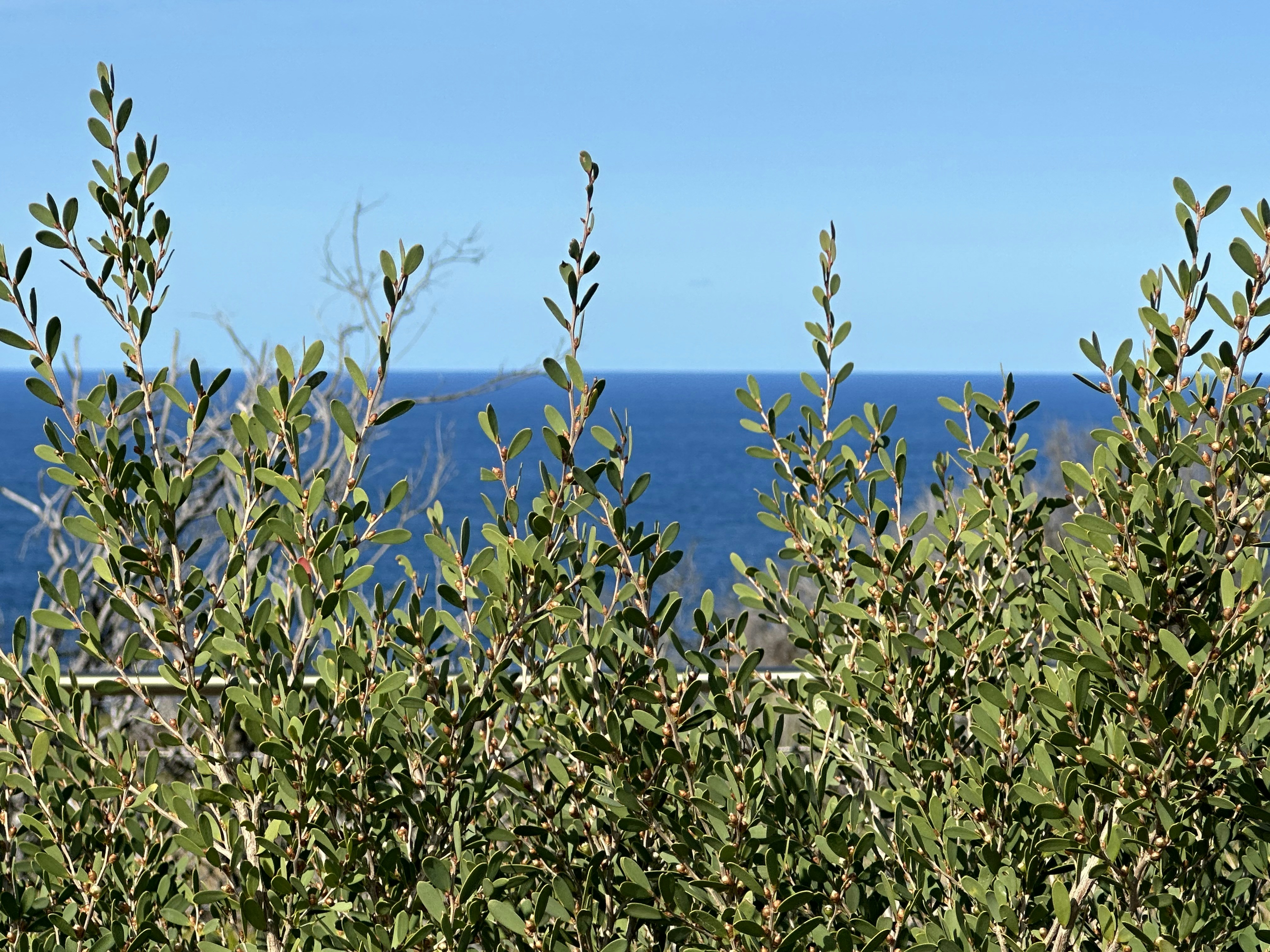 Photo by Bpn Budh with Apple iPhone 14 Pro Max