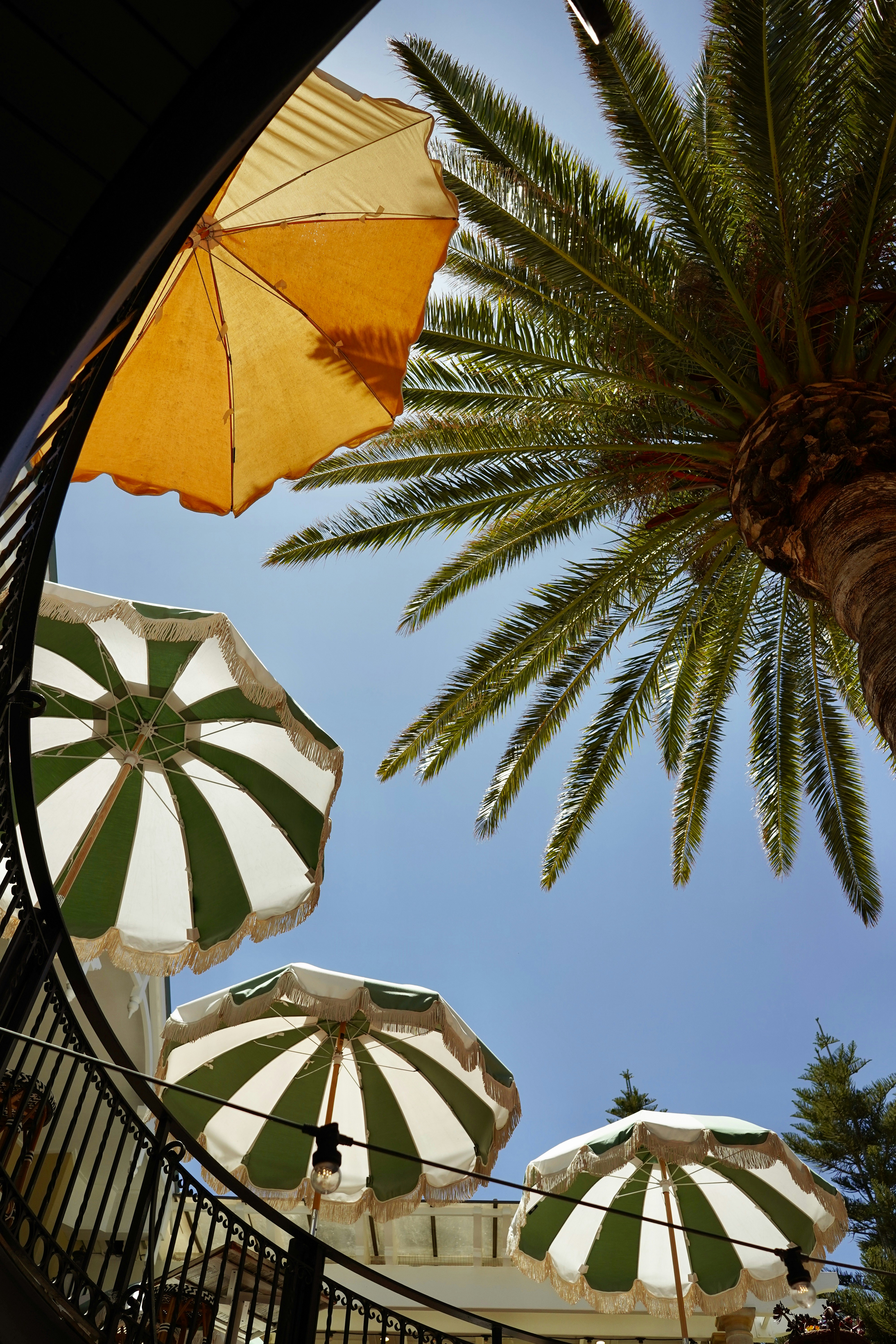Citrus Shade Over Palm Fronds: A Striped Balcony Moment