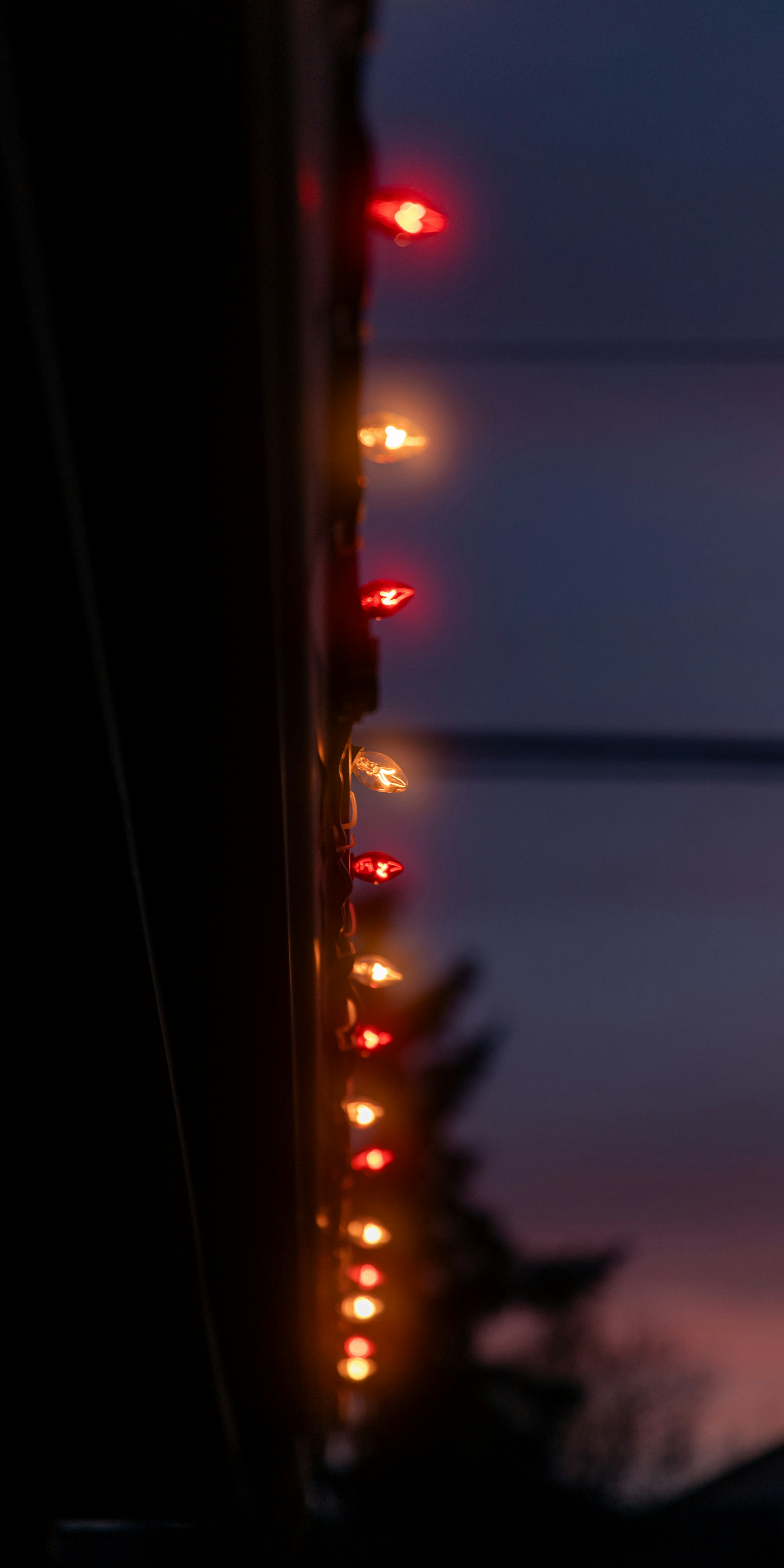 Dusk-lit Bulbs: A Row of Warm Orbs in Soft Focus