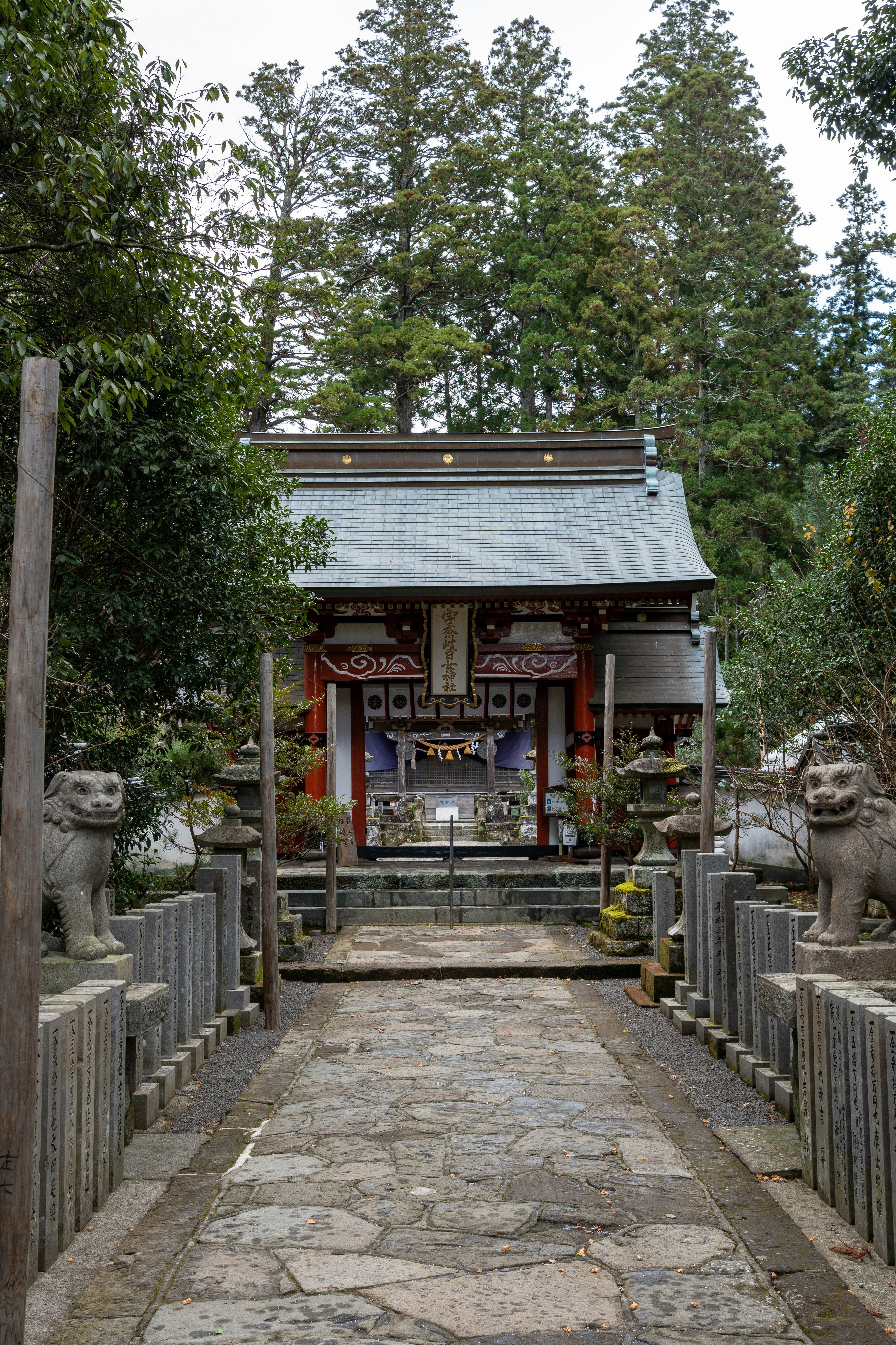 Stone-paved path leads to a traditional shrine framed by guardian statues and cedar trees, captured in a tranquil temple precinct photograph.