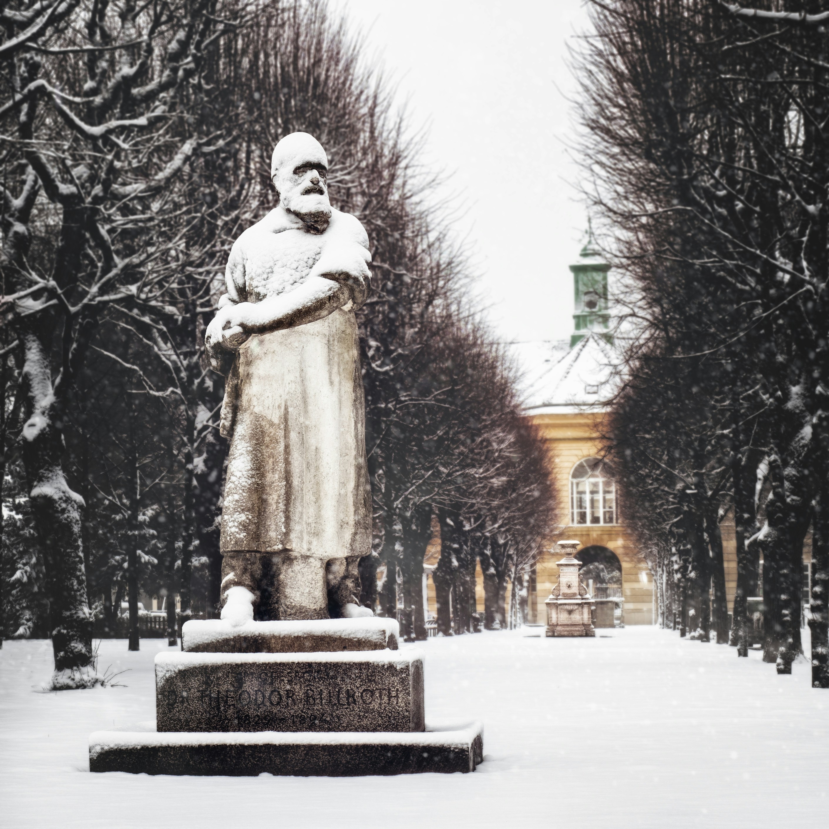 Snowbound Sentinel Along a Tree-Lined Avenue Toward a Distant Neoclassical Facade
