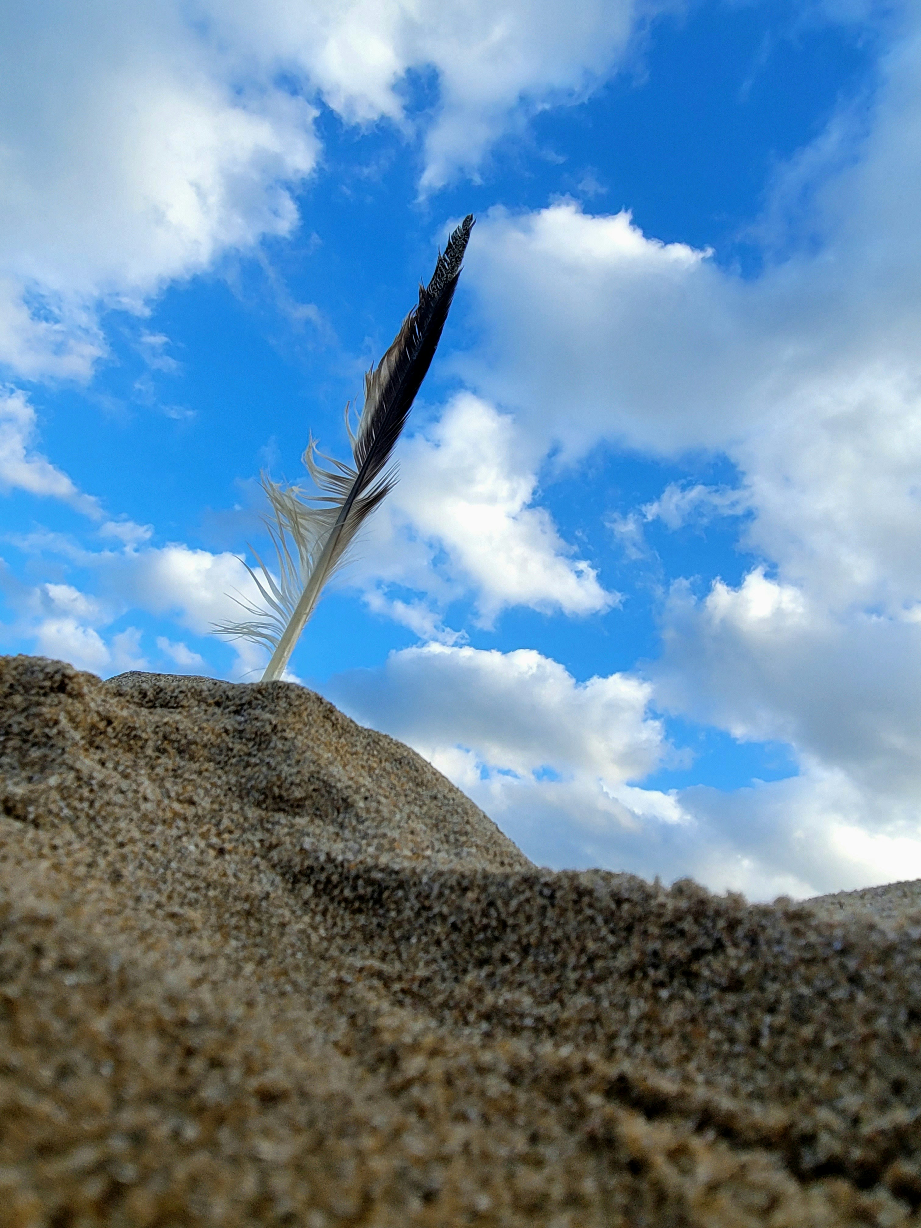 A single feather stands upright on a textured sand dune beneath a bright blue sky dotted with fluffy clouds.