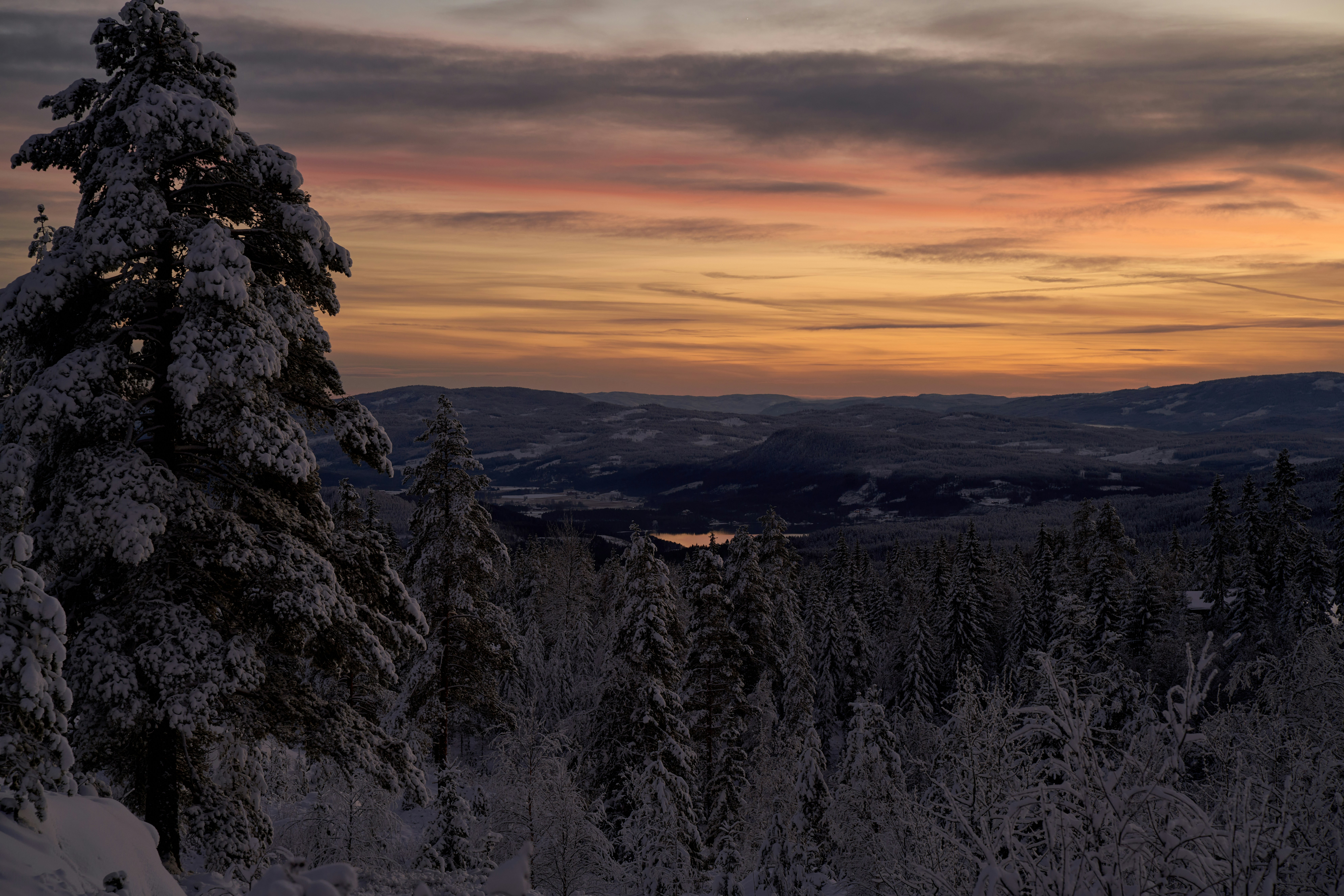 A snow covered forest with a sunset in the background photo – Free ...