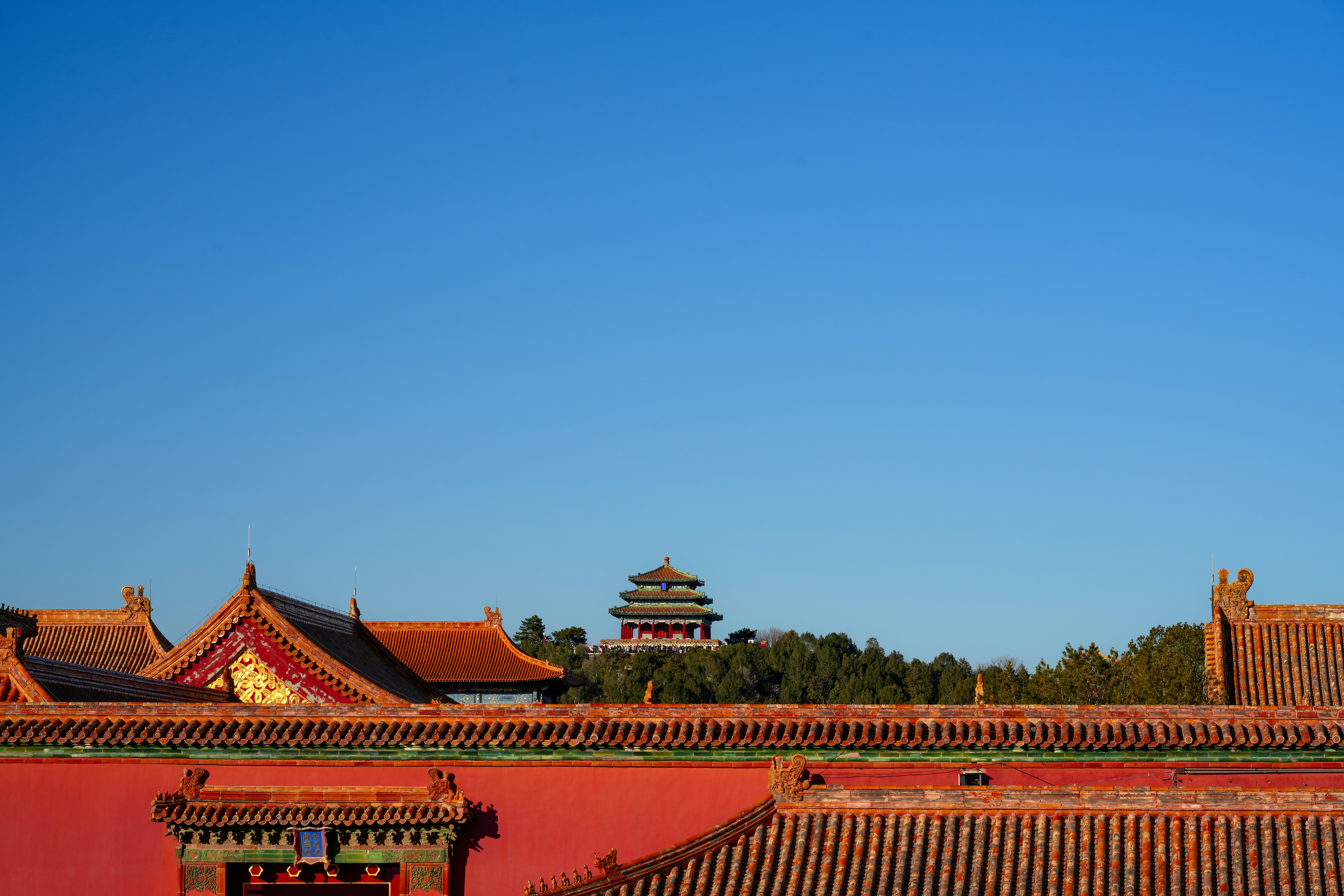 Photo by Hat Trick with Sony Alpha 7C R