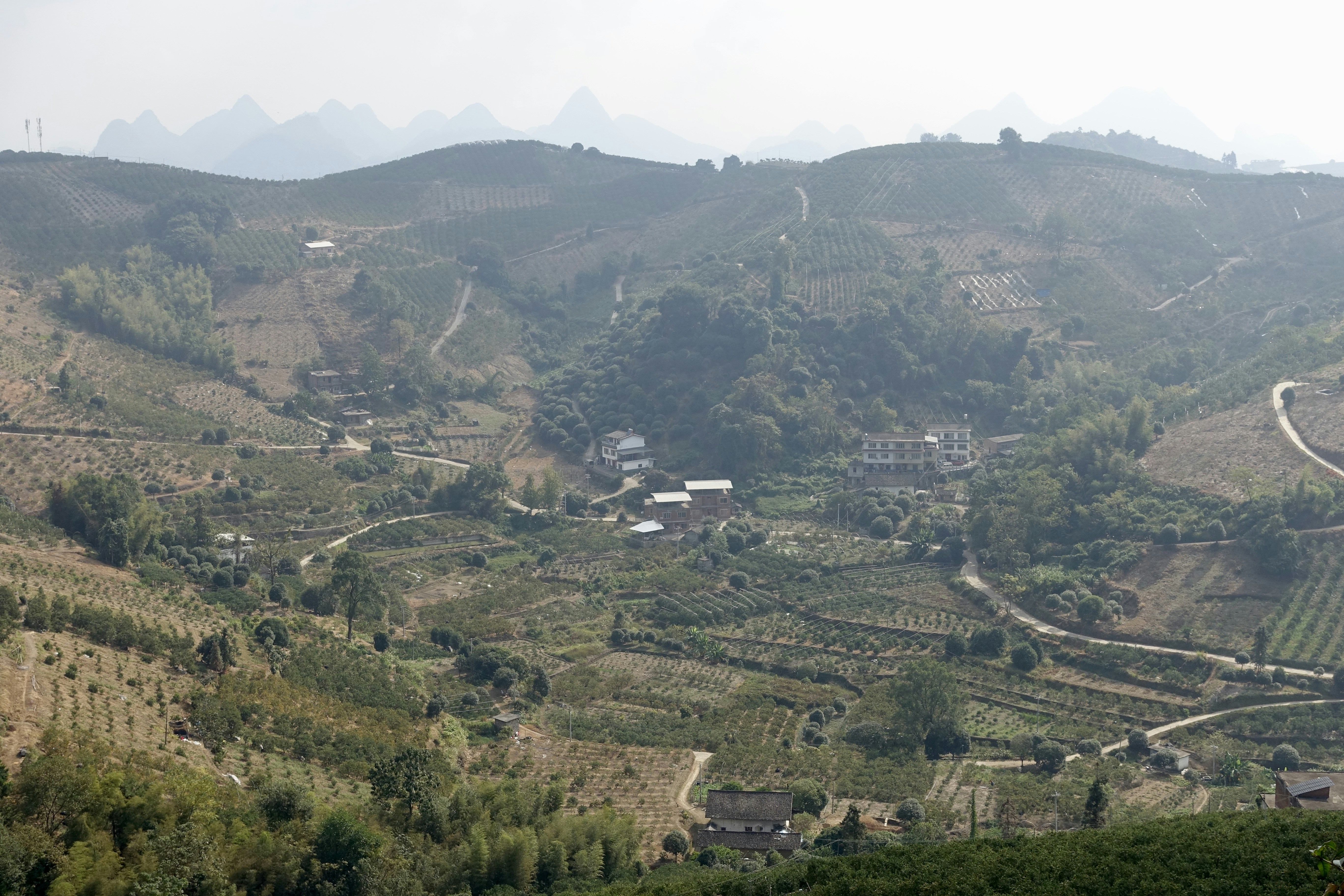 Terraced Hillside Village Under a Misty Ridge