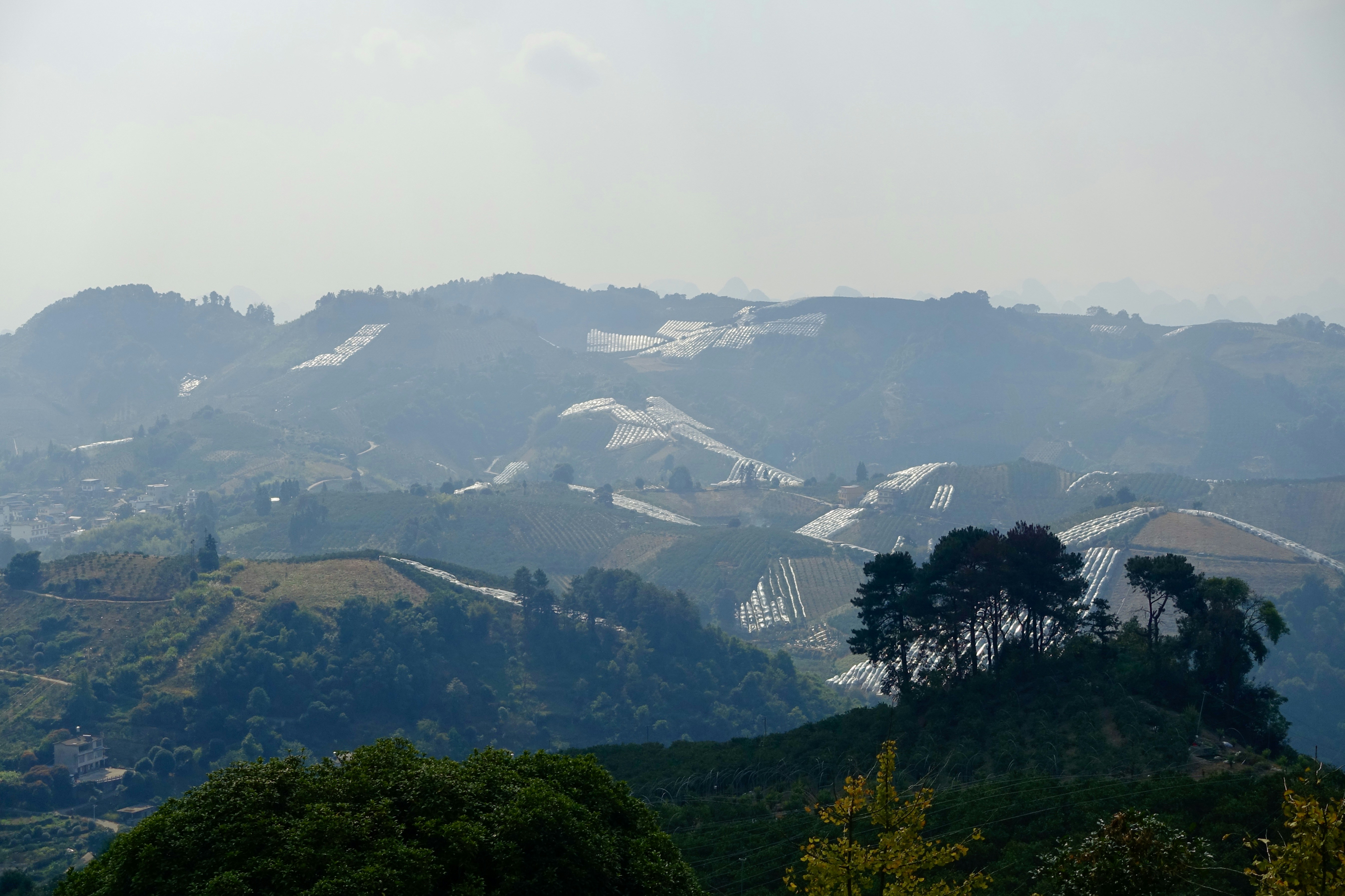 Photo by Max Smith with Sony RX100 III