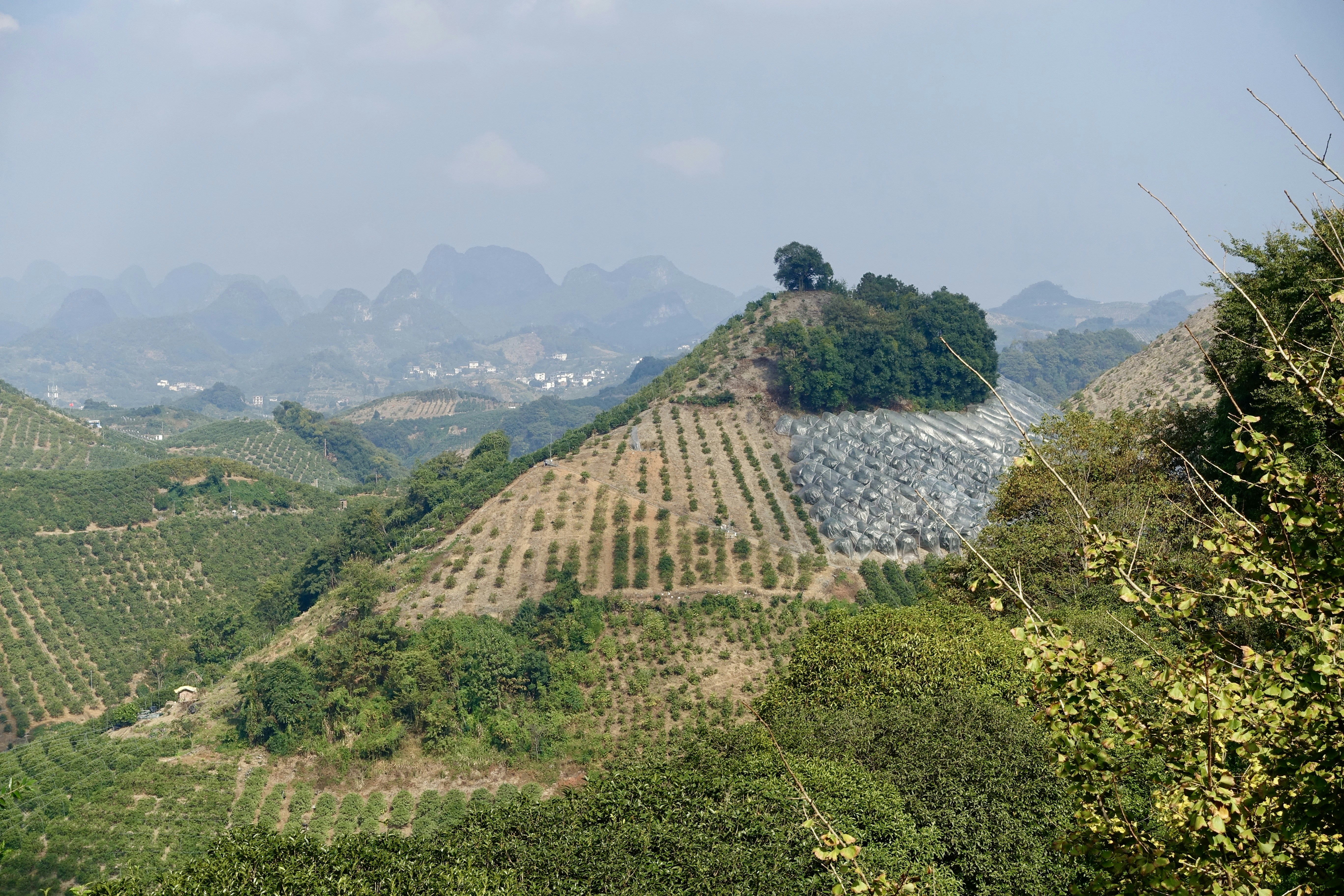 Photo by Max Smith with Sony RX100 III