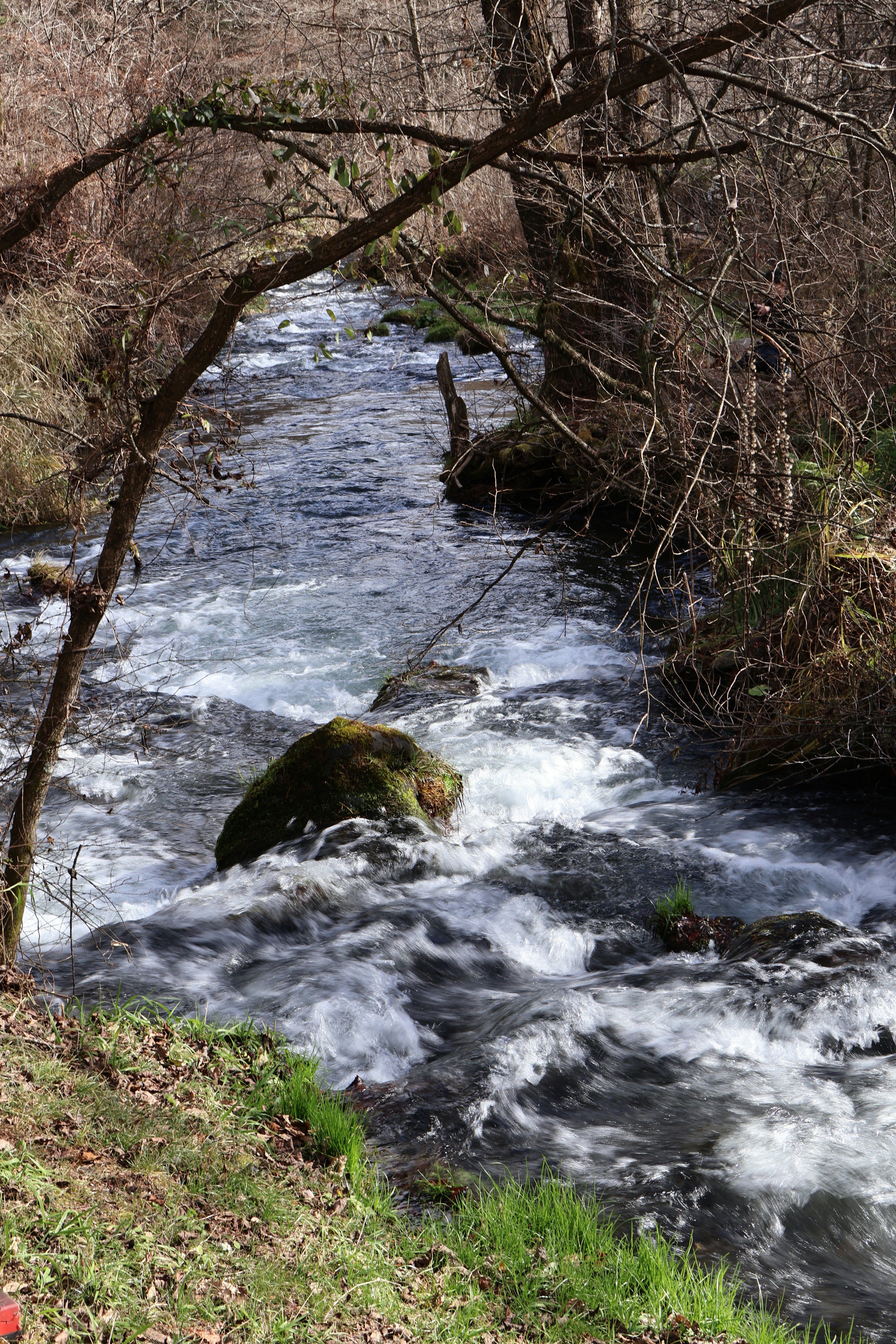 Whispers of the Stream: A Serene Journey