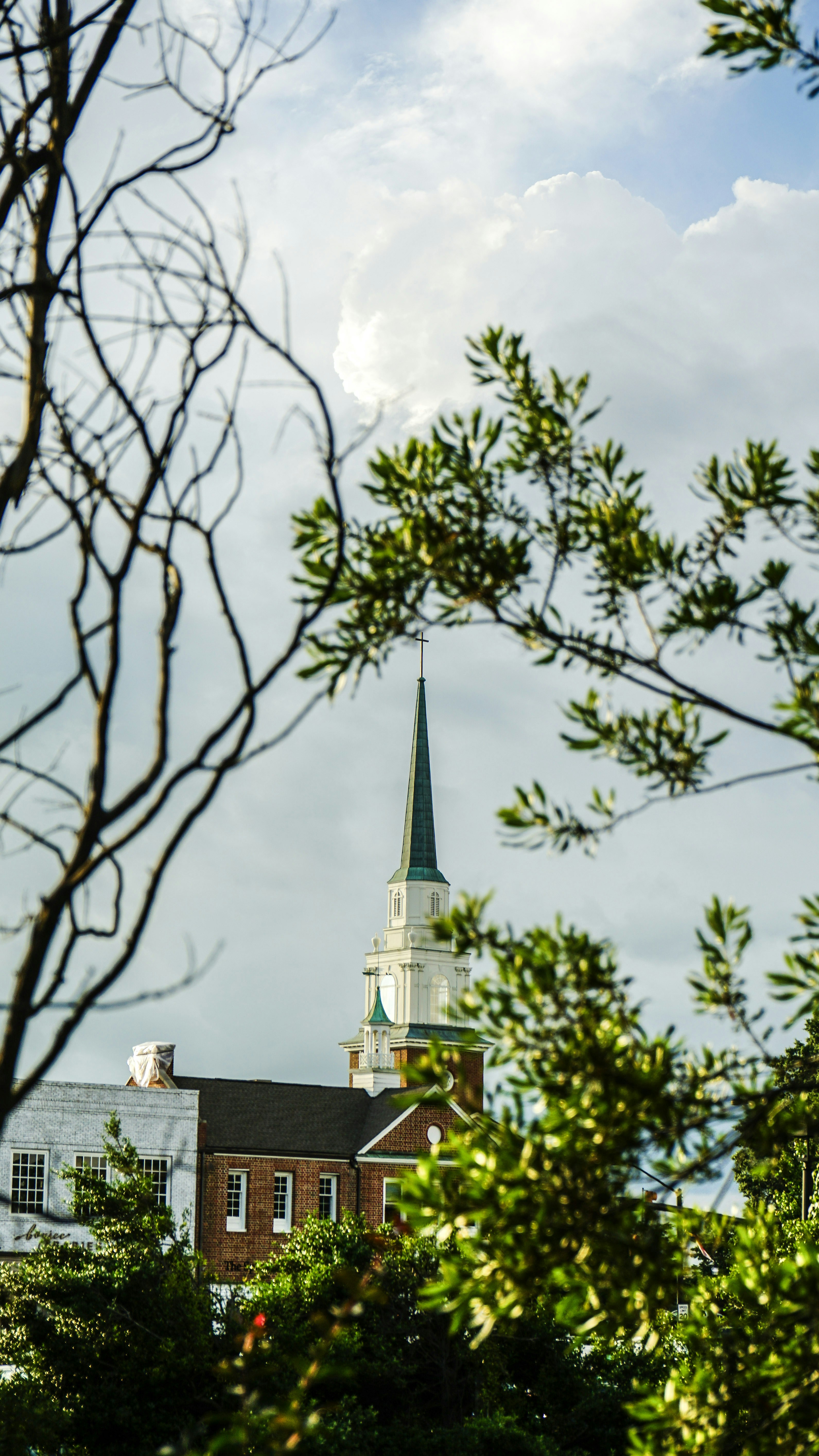 Framed Spire: A Town Church Rising Through Spring Foliage