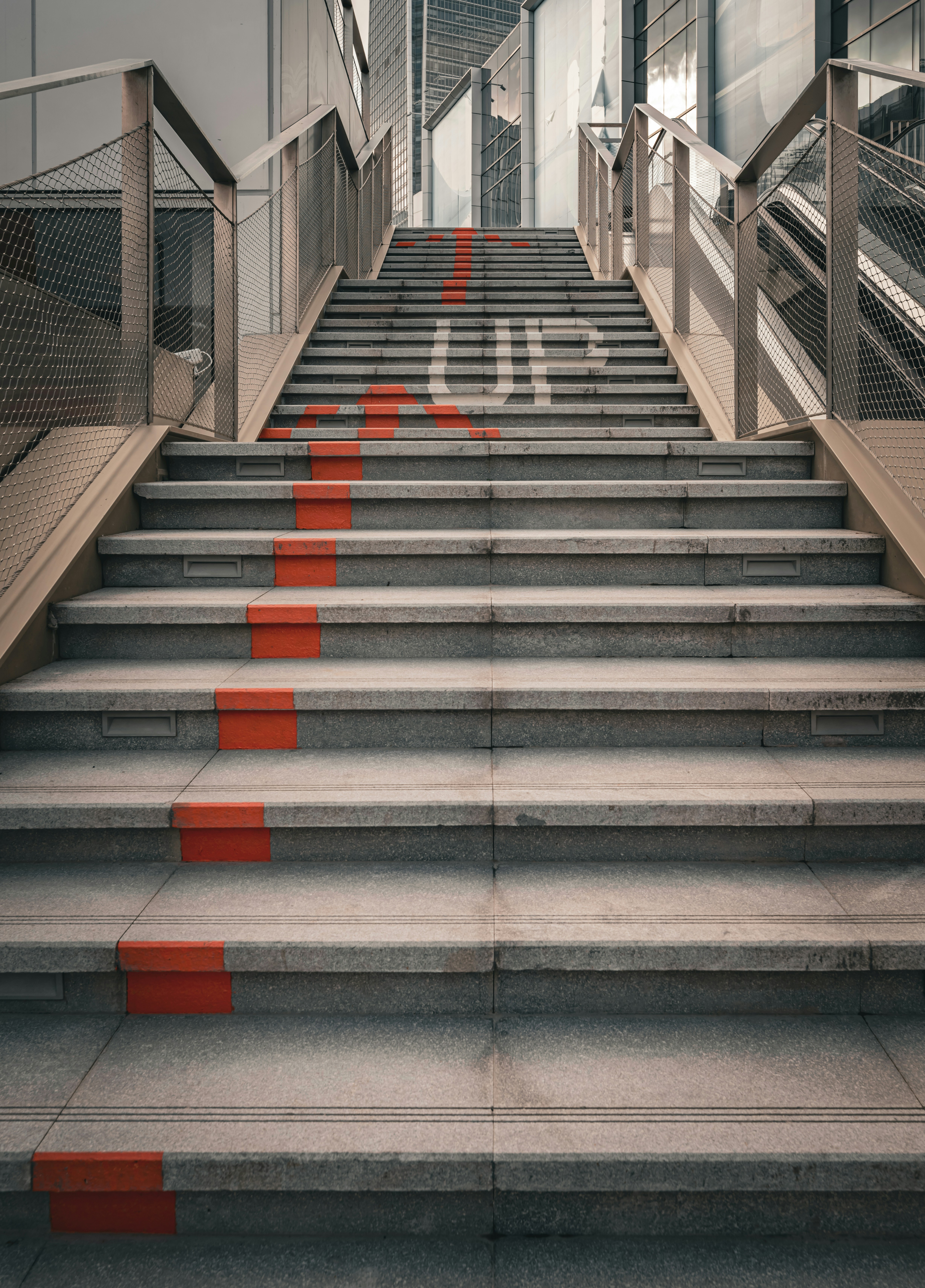 Photo by Declan Sun with Nikon Z8