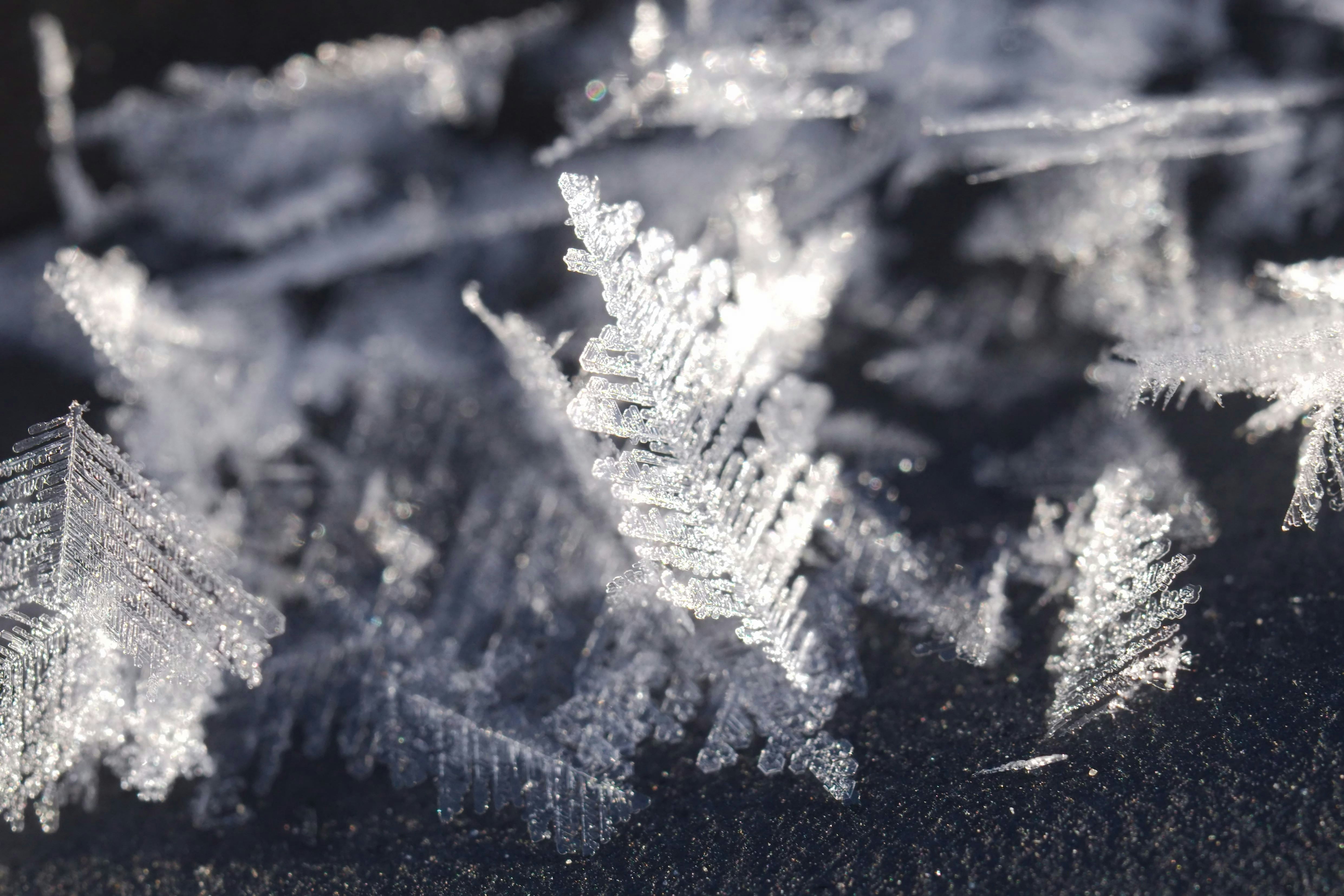 A bunch of snow flakes sitting on top of a table photo – Free Vertical ...