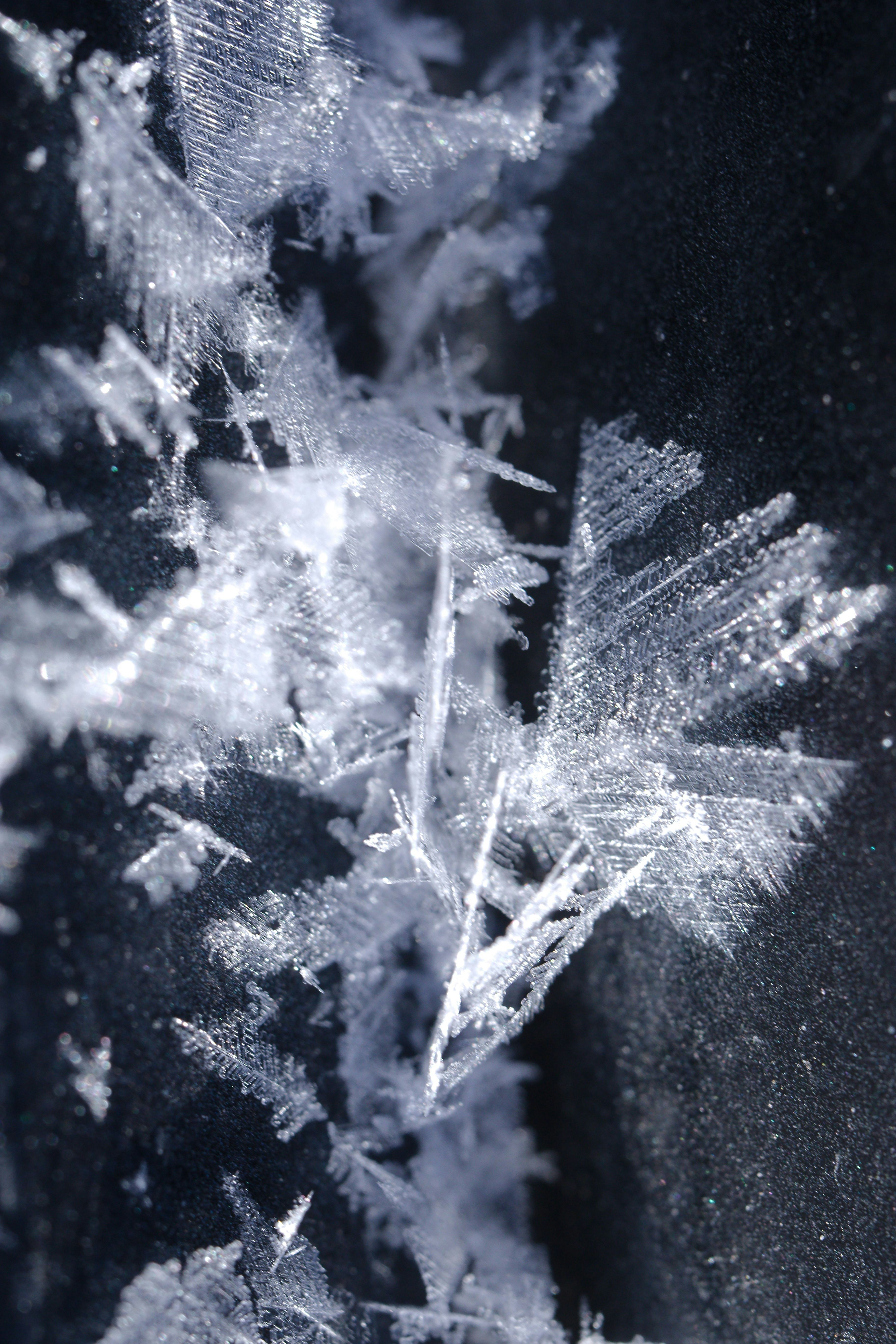 Fractal Frost: a micro-sculpture of ice crystals on a dark backdrop