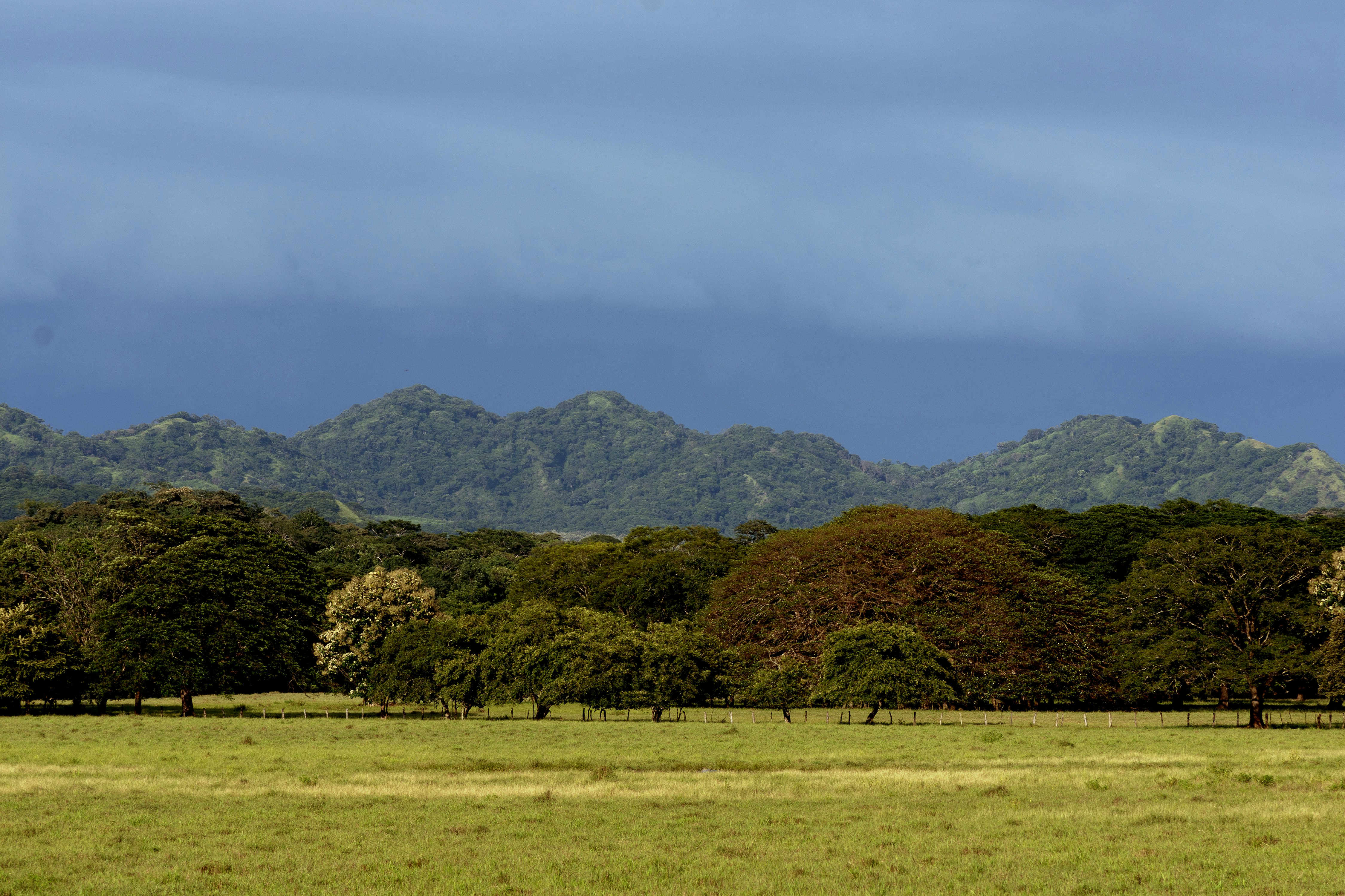 Rolling green fields and dense tree line under a cloudy blue sky.