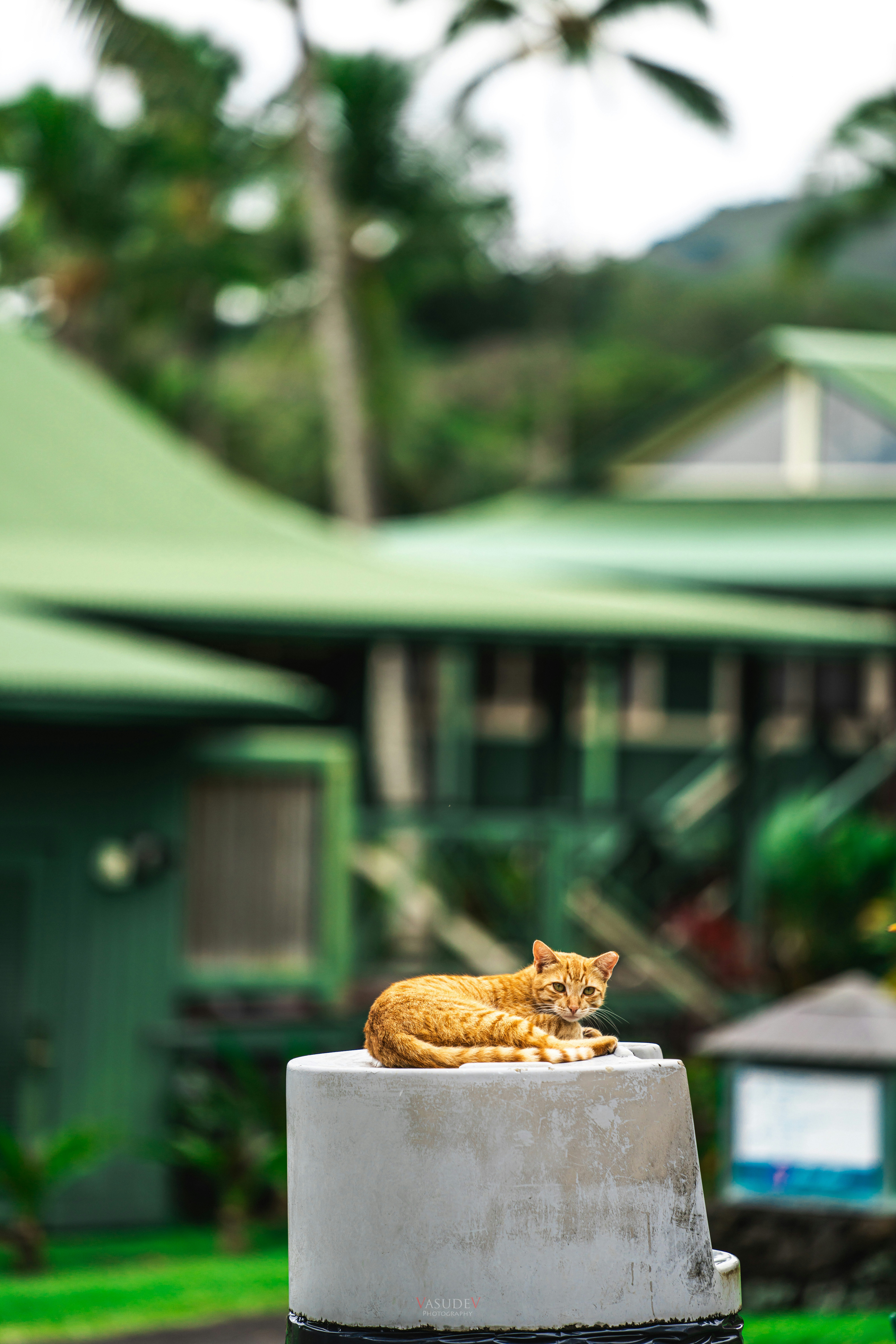 Terracotta Hunter on a Concrete Perch
