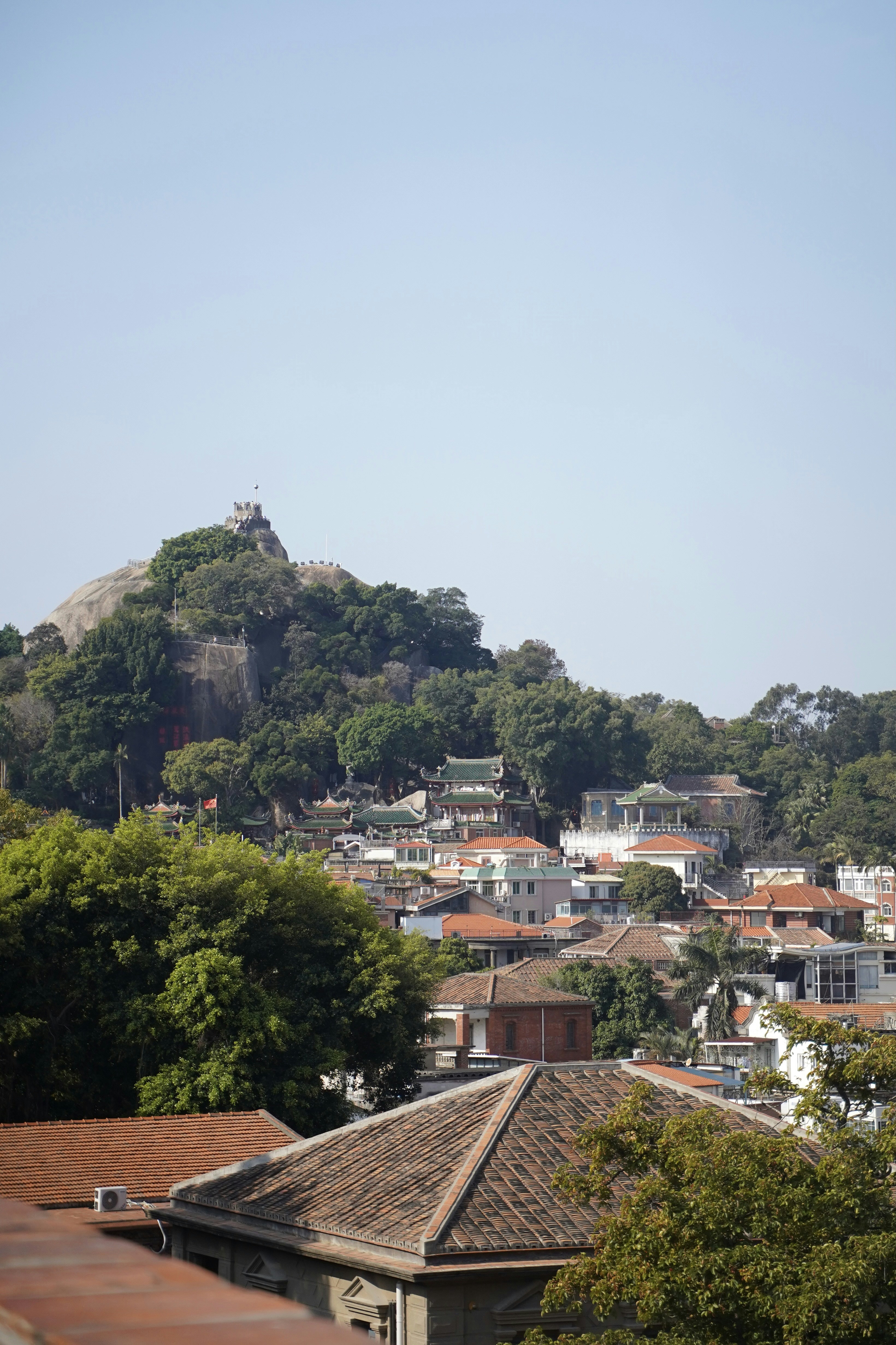 Photo by Hailey Tong with Sony Alpha 7 III