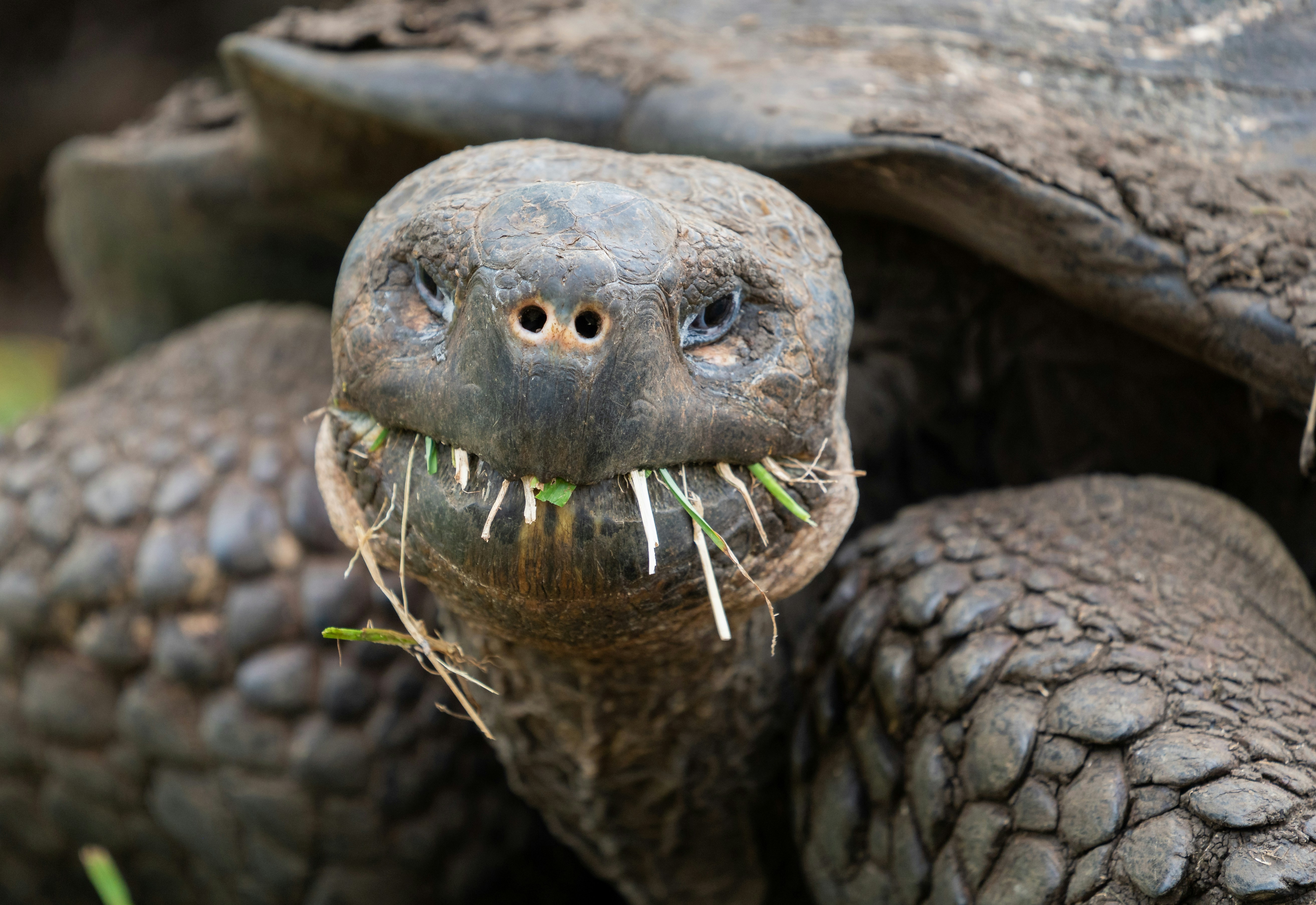 Photo by Bob Brewer with Sony Alpha 9