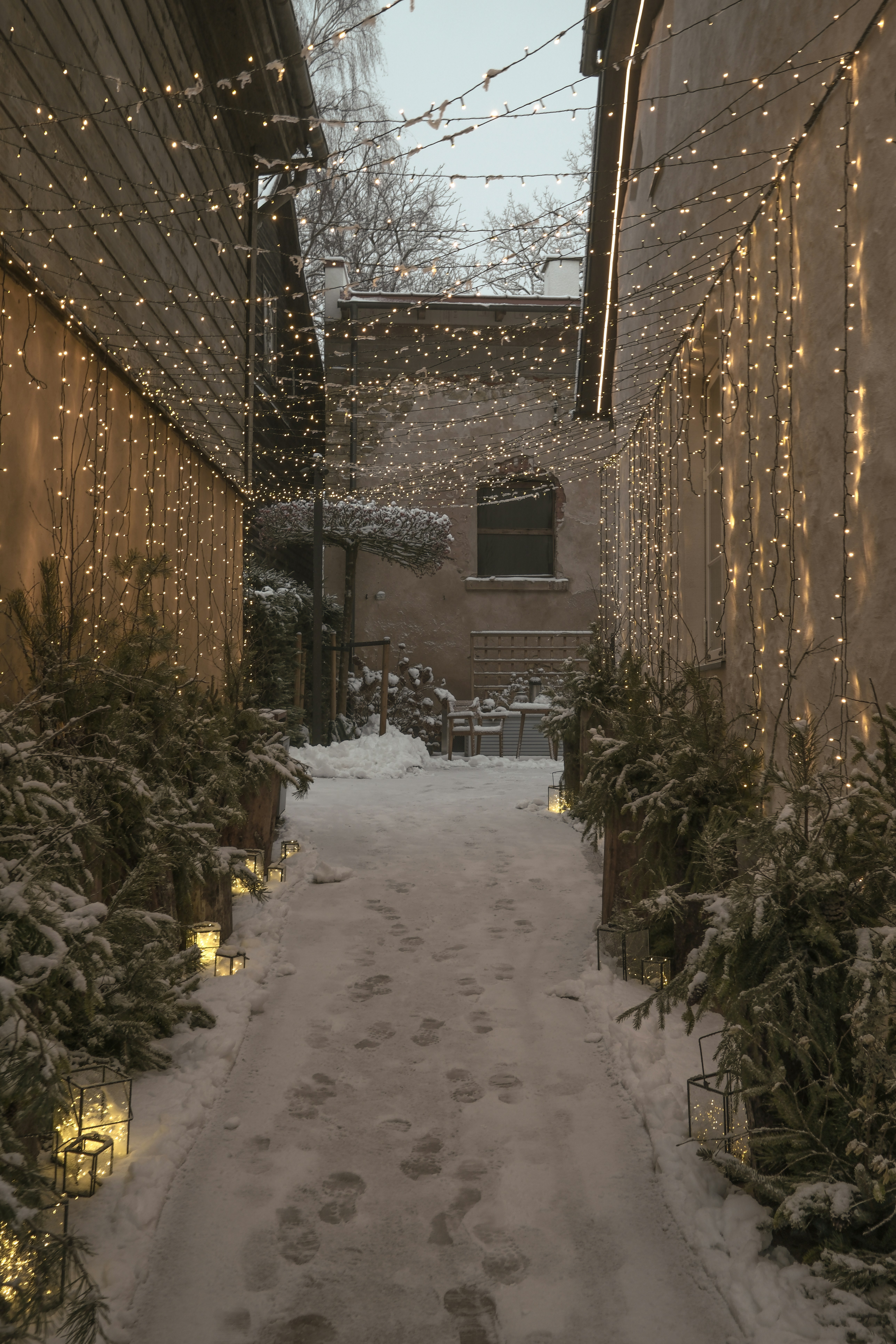 Photo by Inga Gaile with Fujifilm X100VI