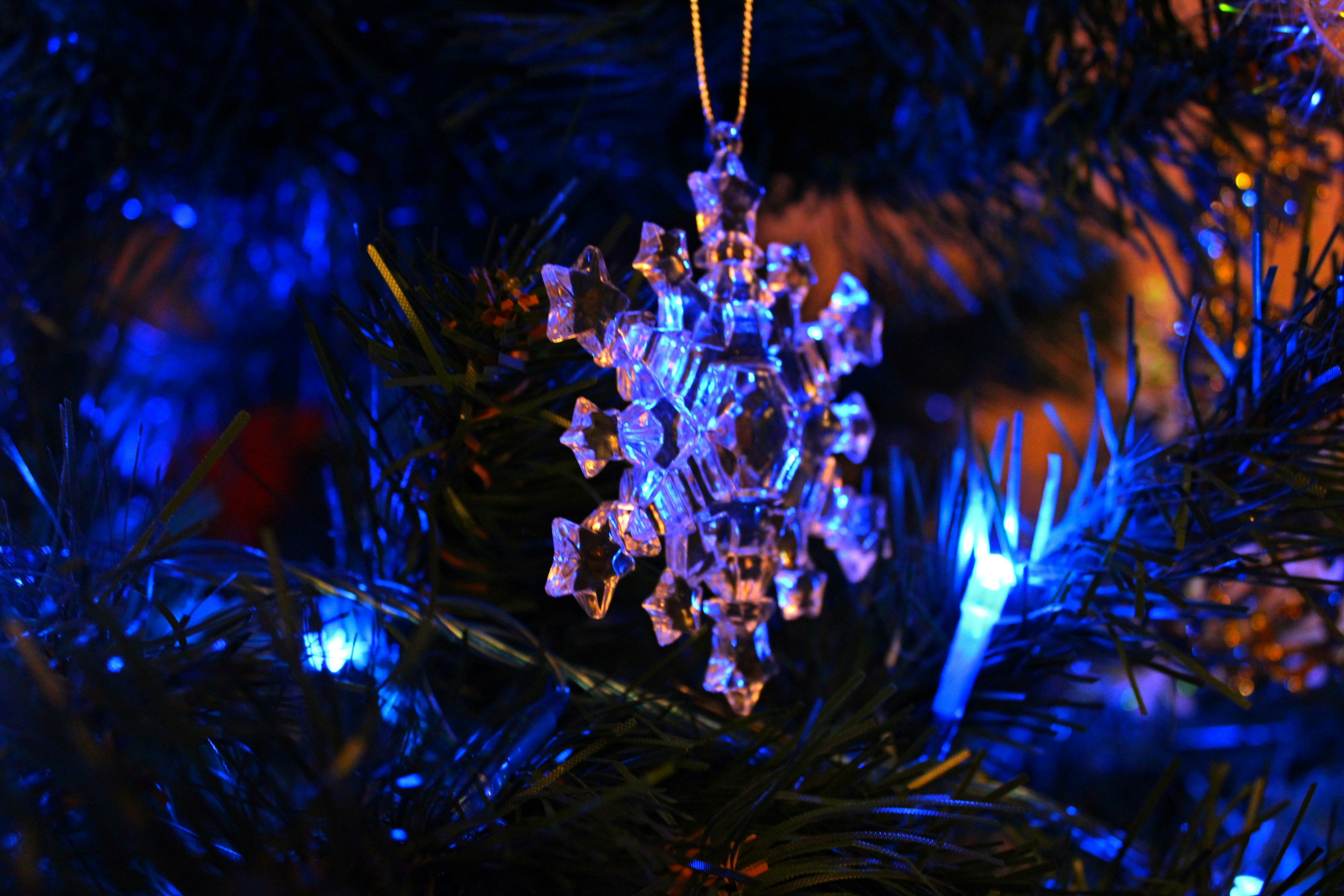 Glittering Snowflake in Blue Twilight