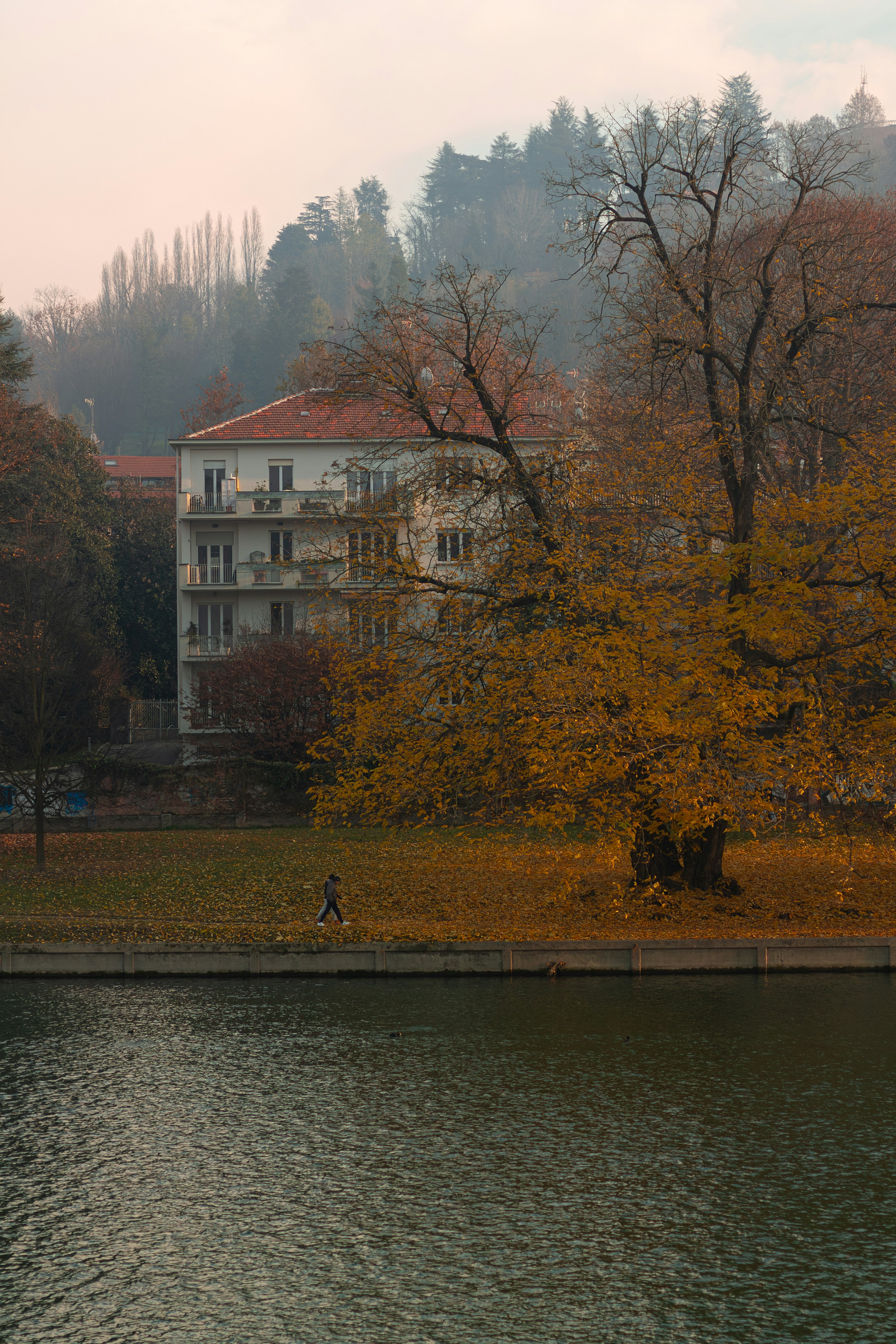 Riverside in Autumn Light: A Lone Walker Beneath the Amber Canopy