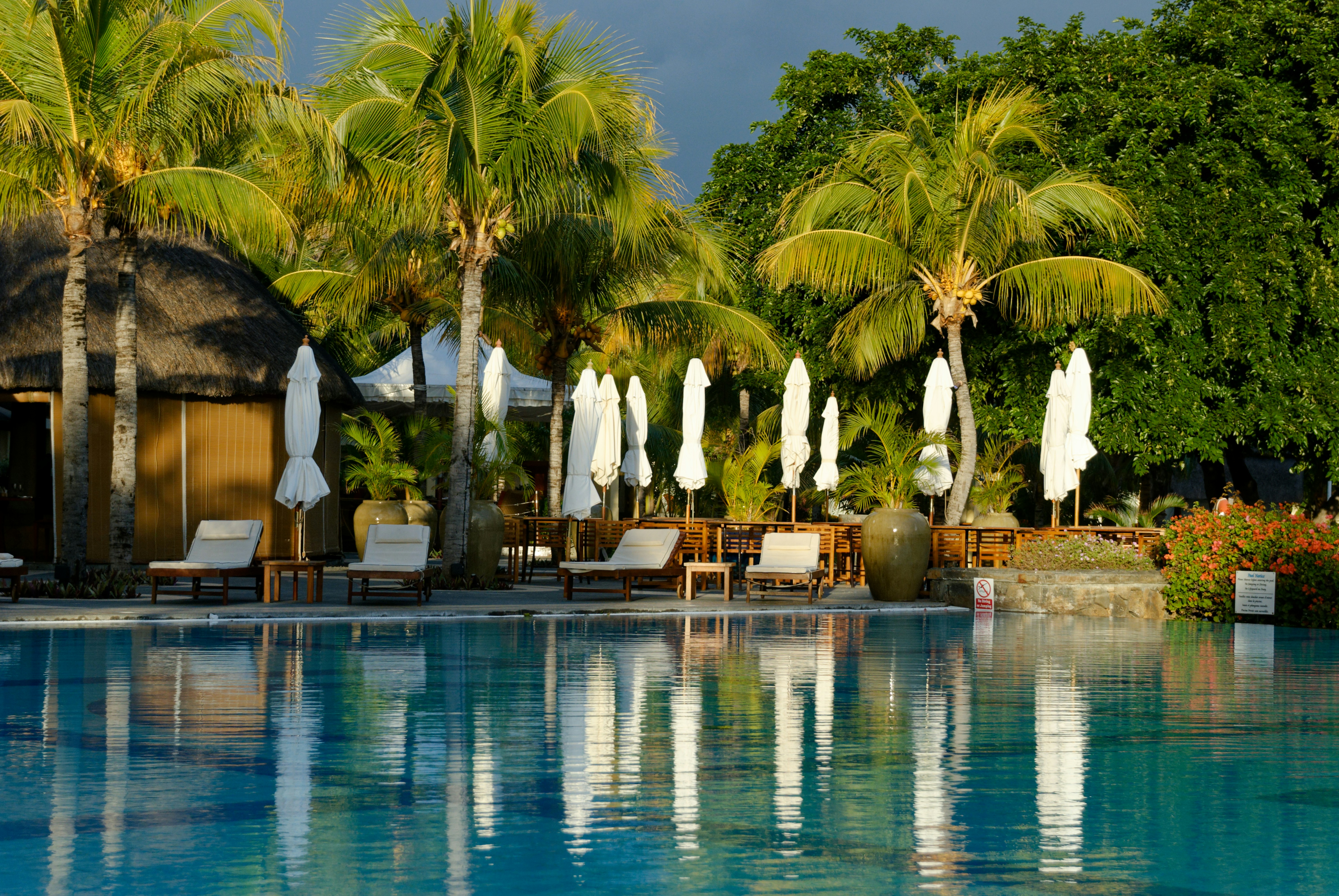 A large swimming pool surrounded by palm trees photo – Free Mauritius ...