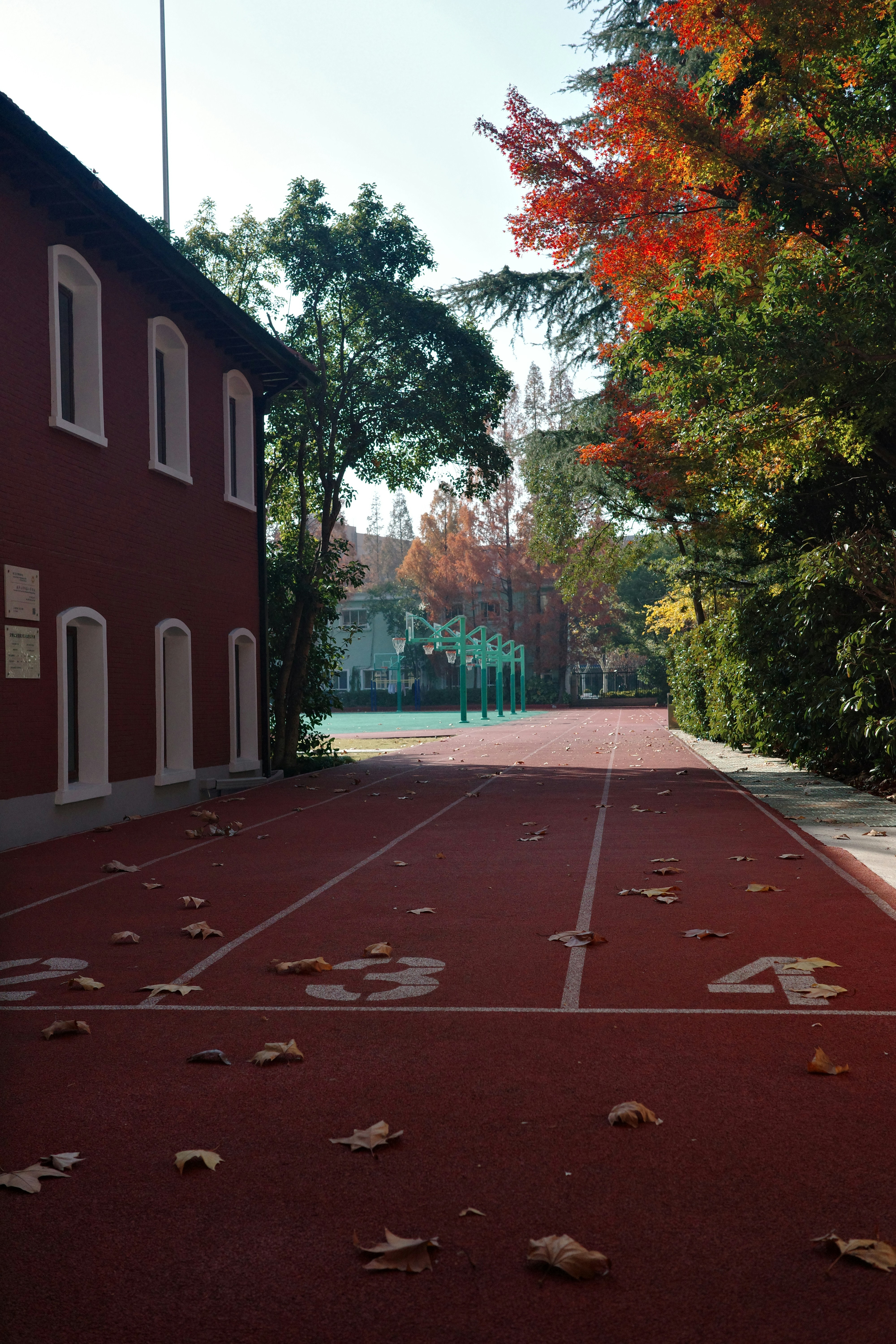Autumn Convergence on a Red Track: Lines Toward a Quiet Campus