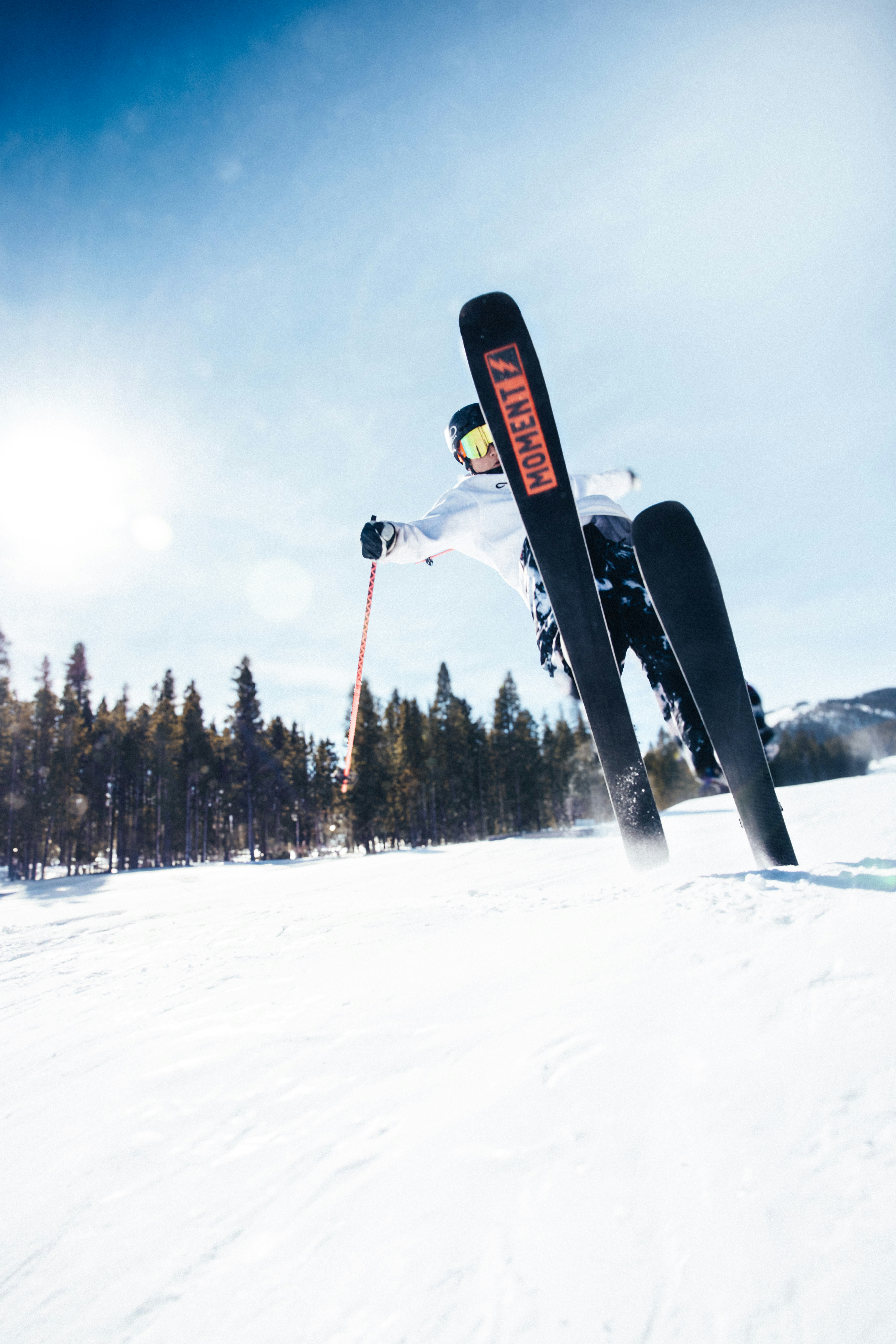 Aerial Acrobatics in the Snowy Pines