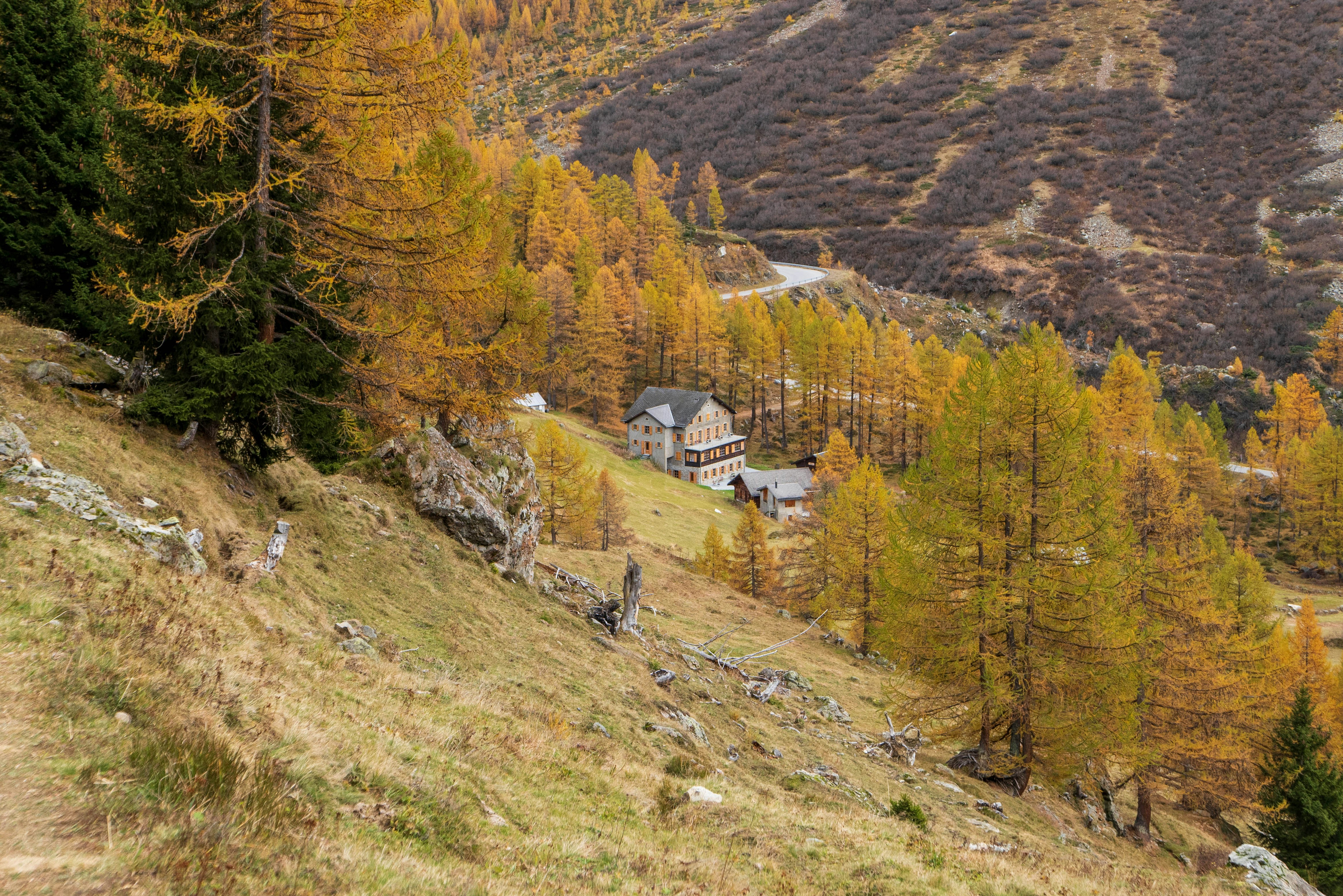 A man riding a bike down a dirt road