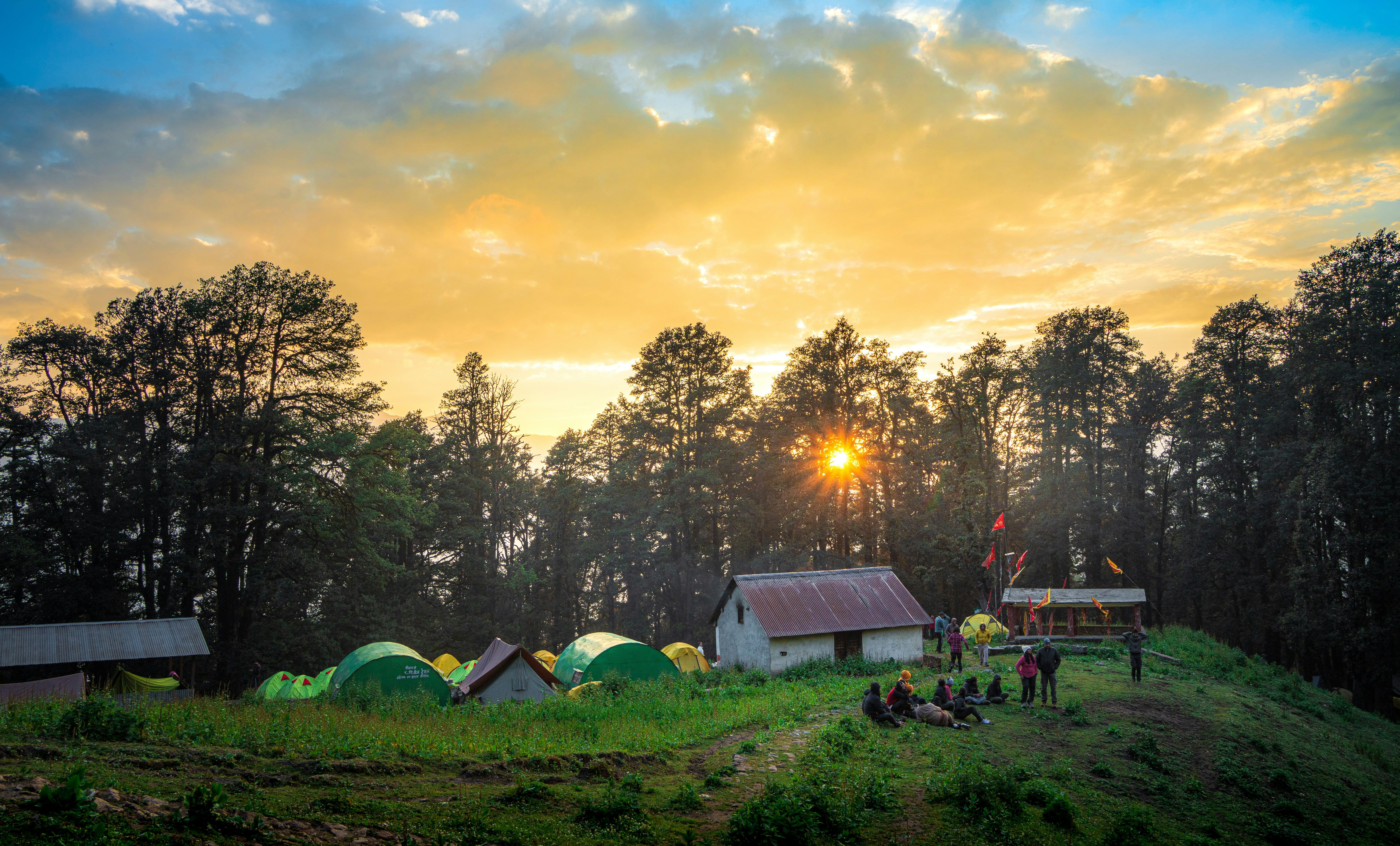 Sunlit Camp at Dusk: A Rustic Horizon of Tents and Pines