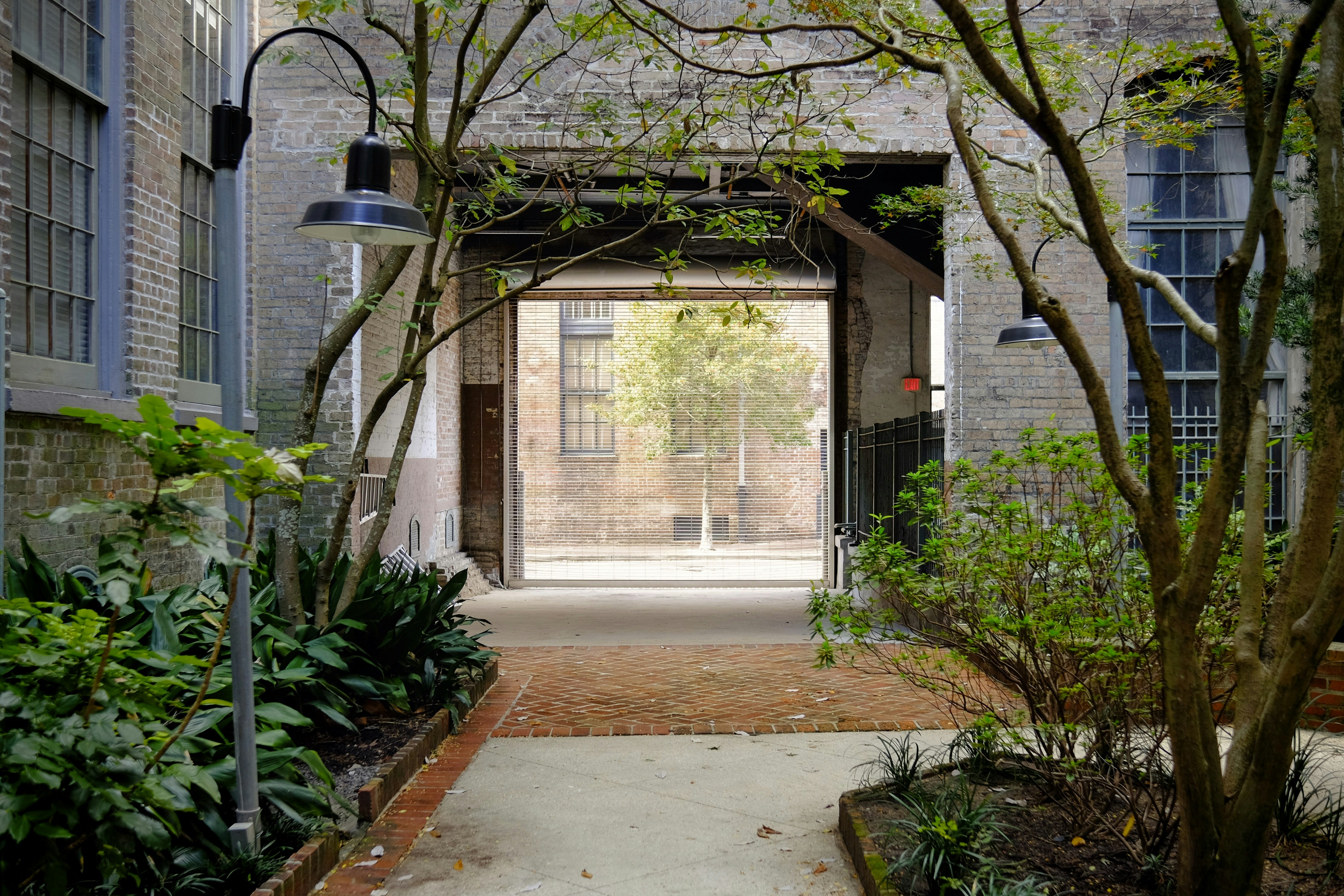 A walkway between two buildings with trees and bushes photo – Free 920 ...