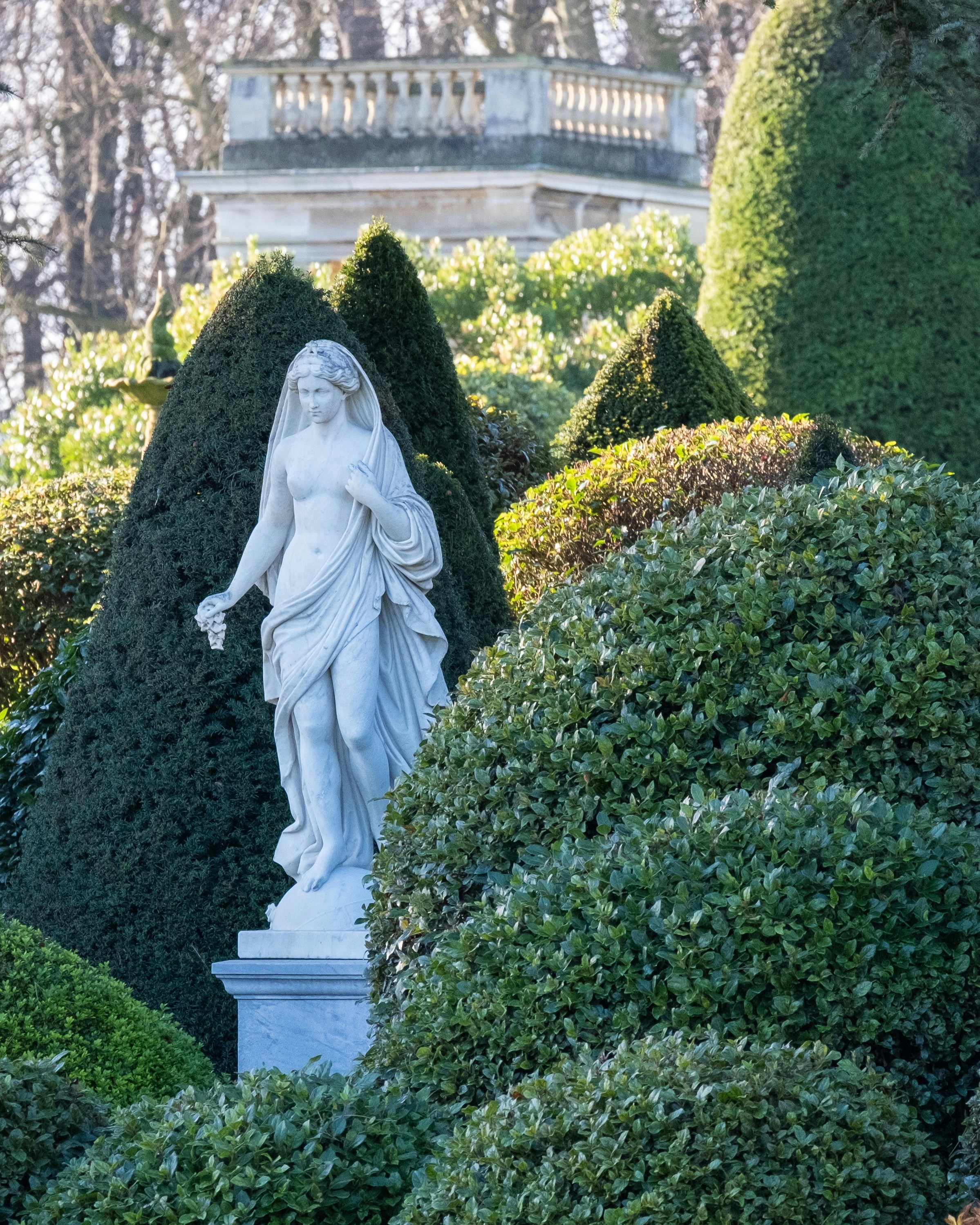 Marble Muse Amid Pruned Green: Quiet Garden Portrait