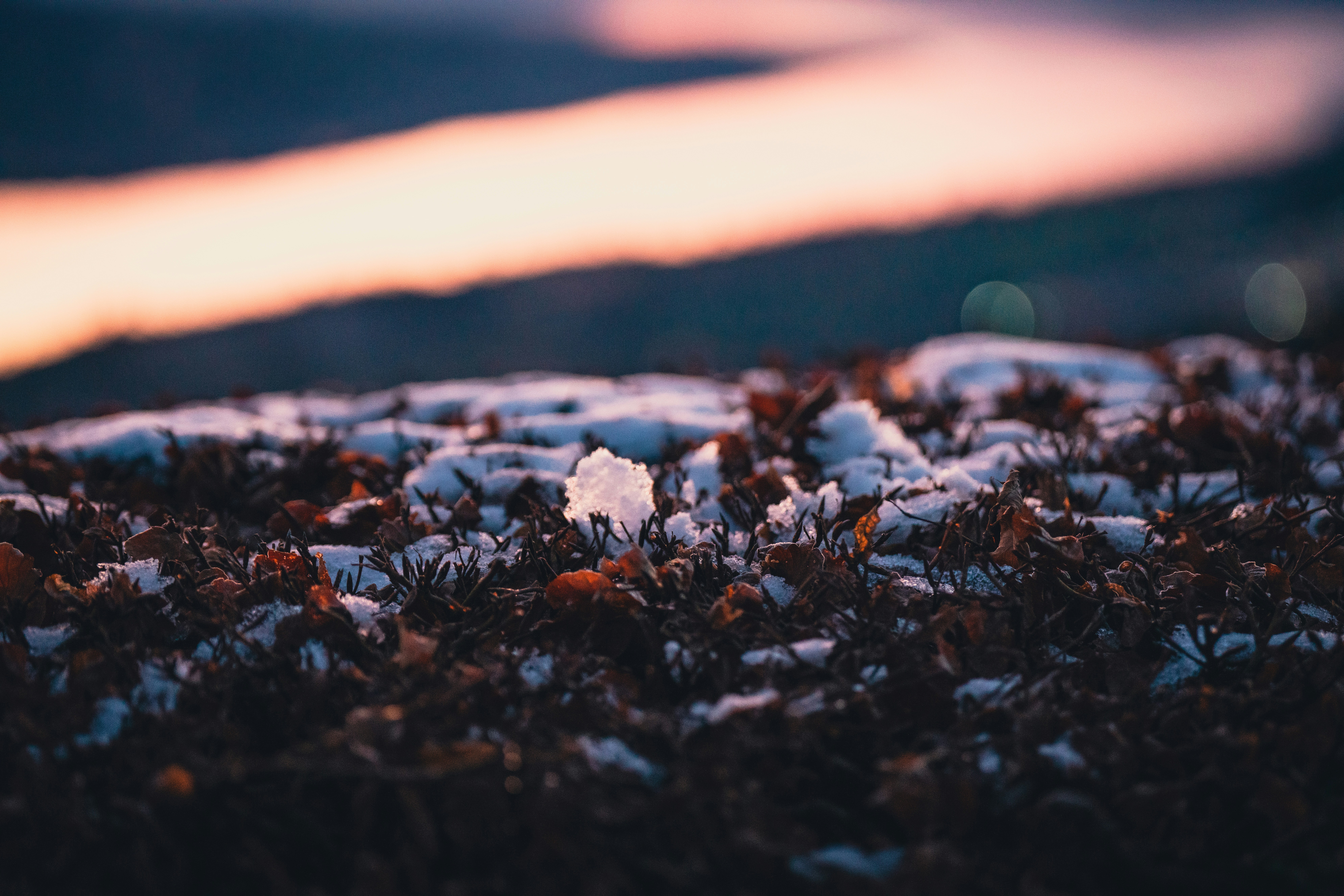 Twilight Frost on Autumn Leaves