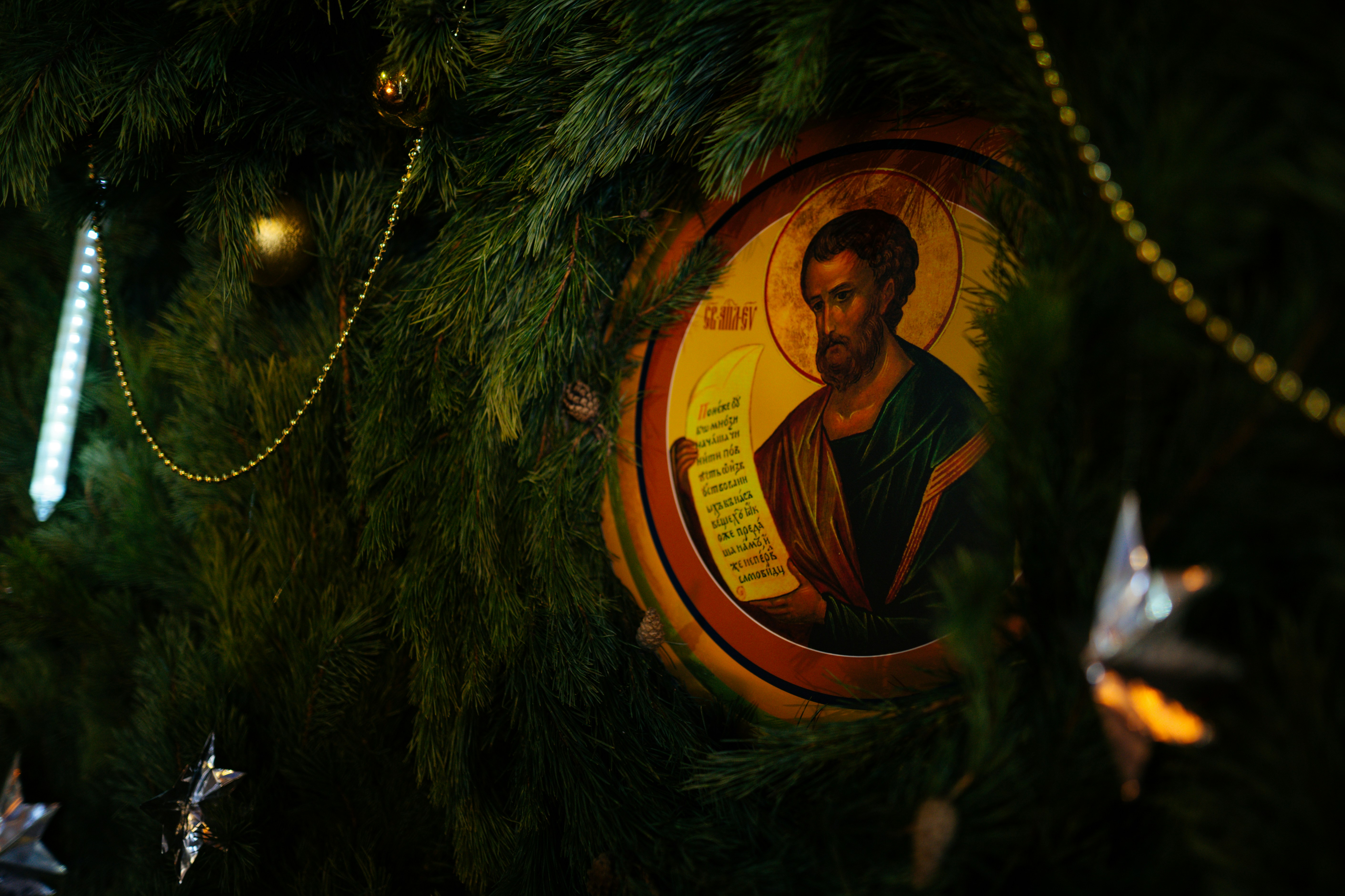 Photo by Andrey K with Sony Alpha 7 III