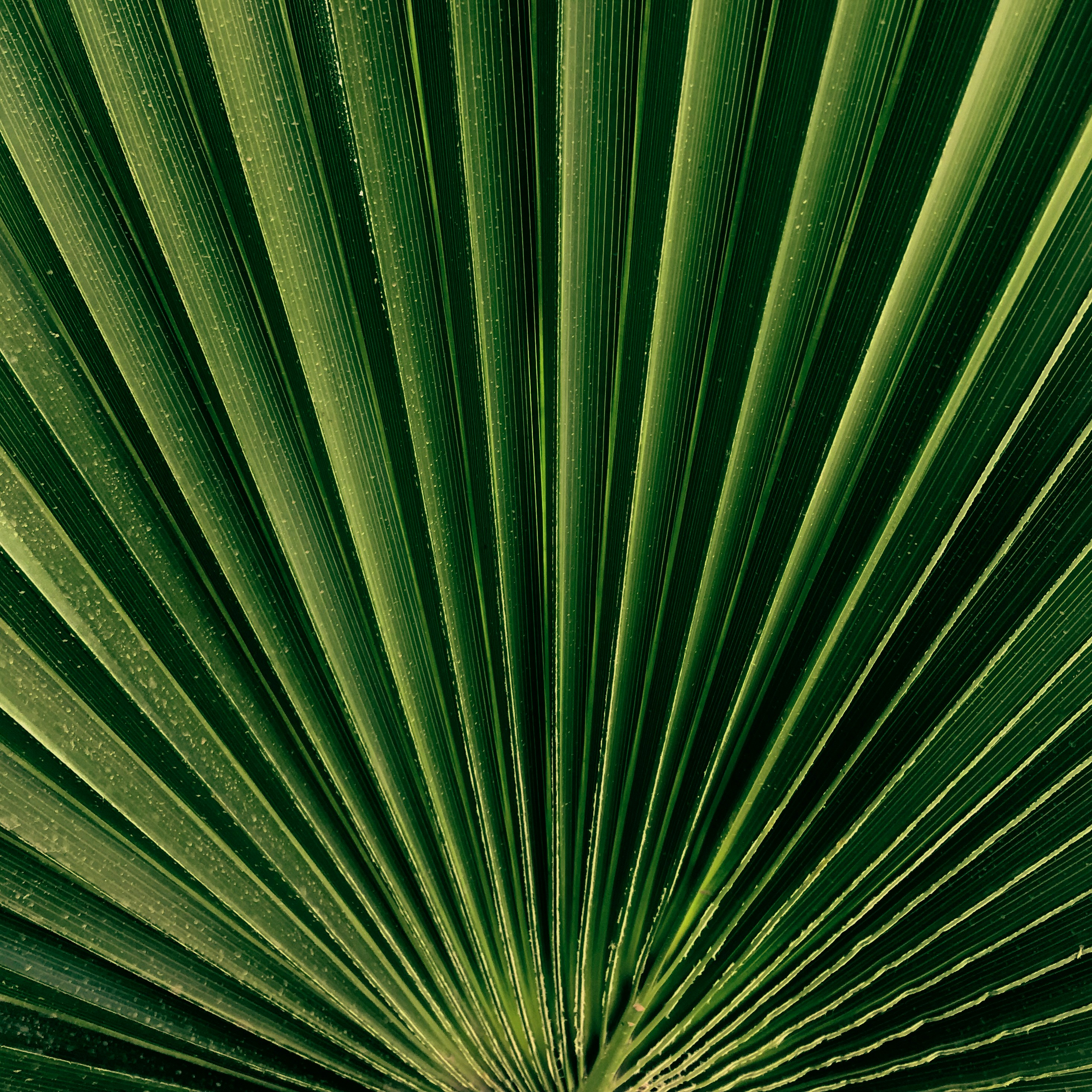 Photo by faglimmer with Apple iPhone 7