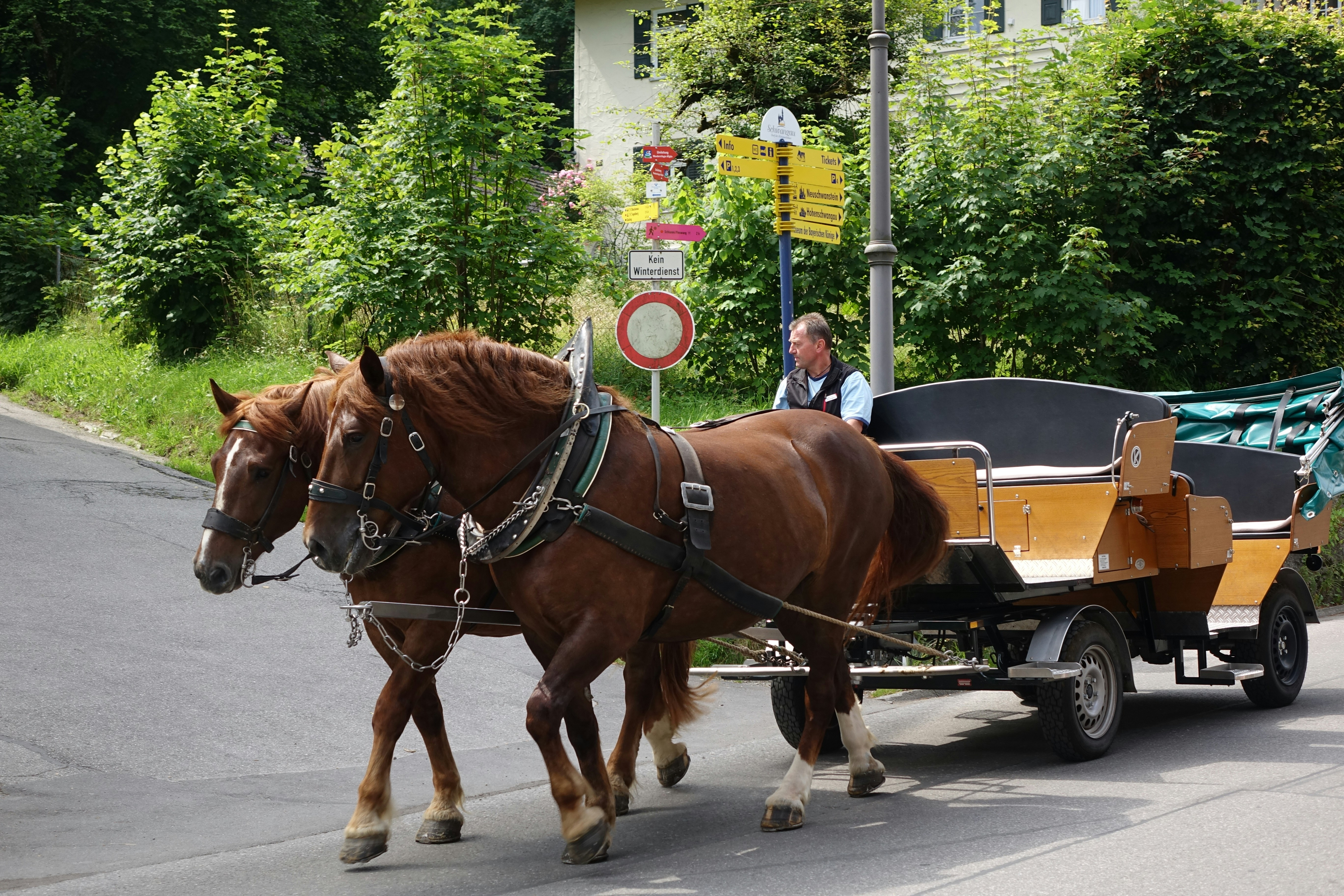 Photo by Arthur Tseng with Sony Cyber-shot RX10 II