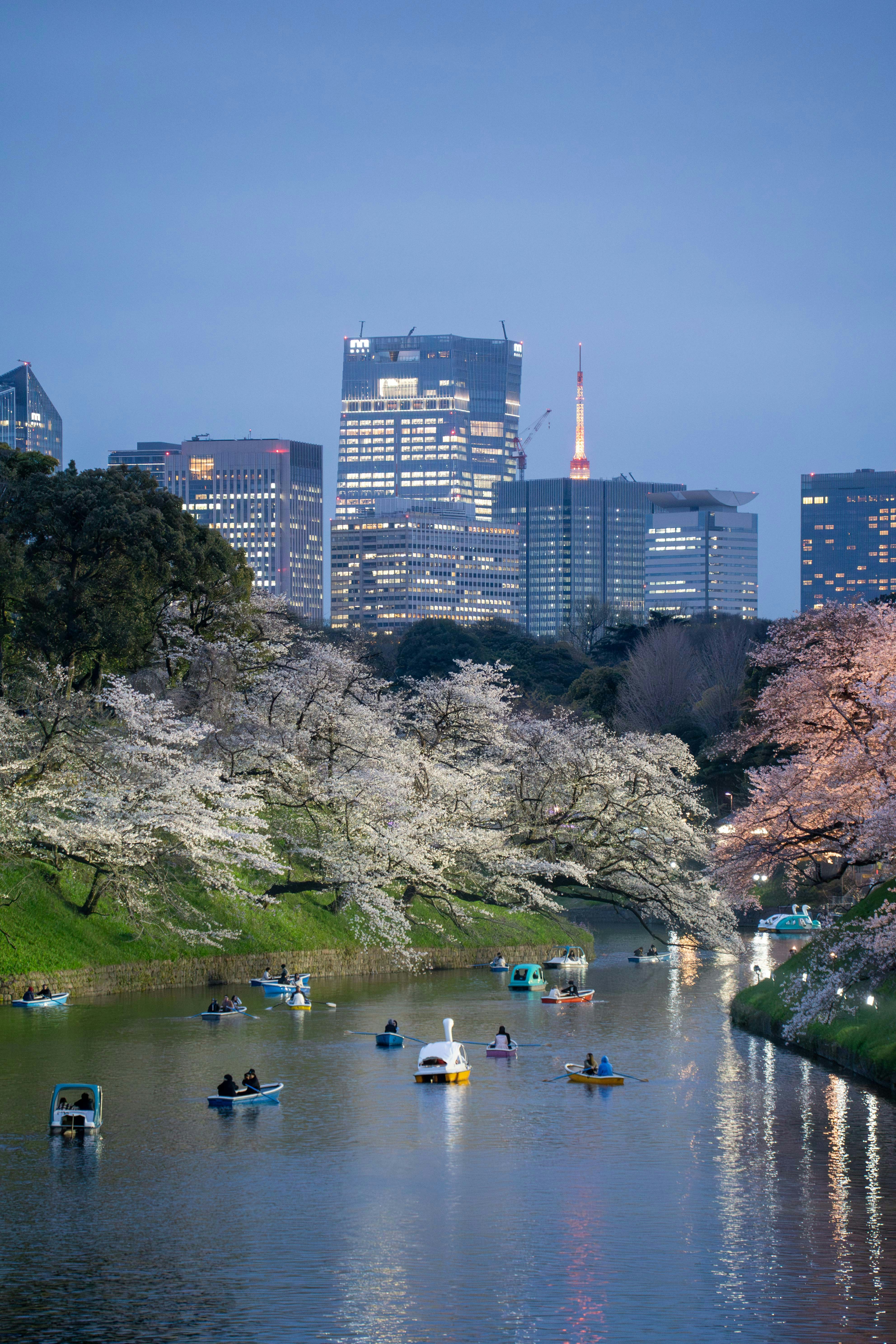 Photo by Mingfang with Sony Alpha 7C