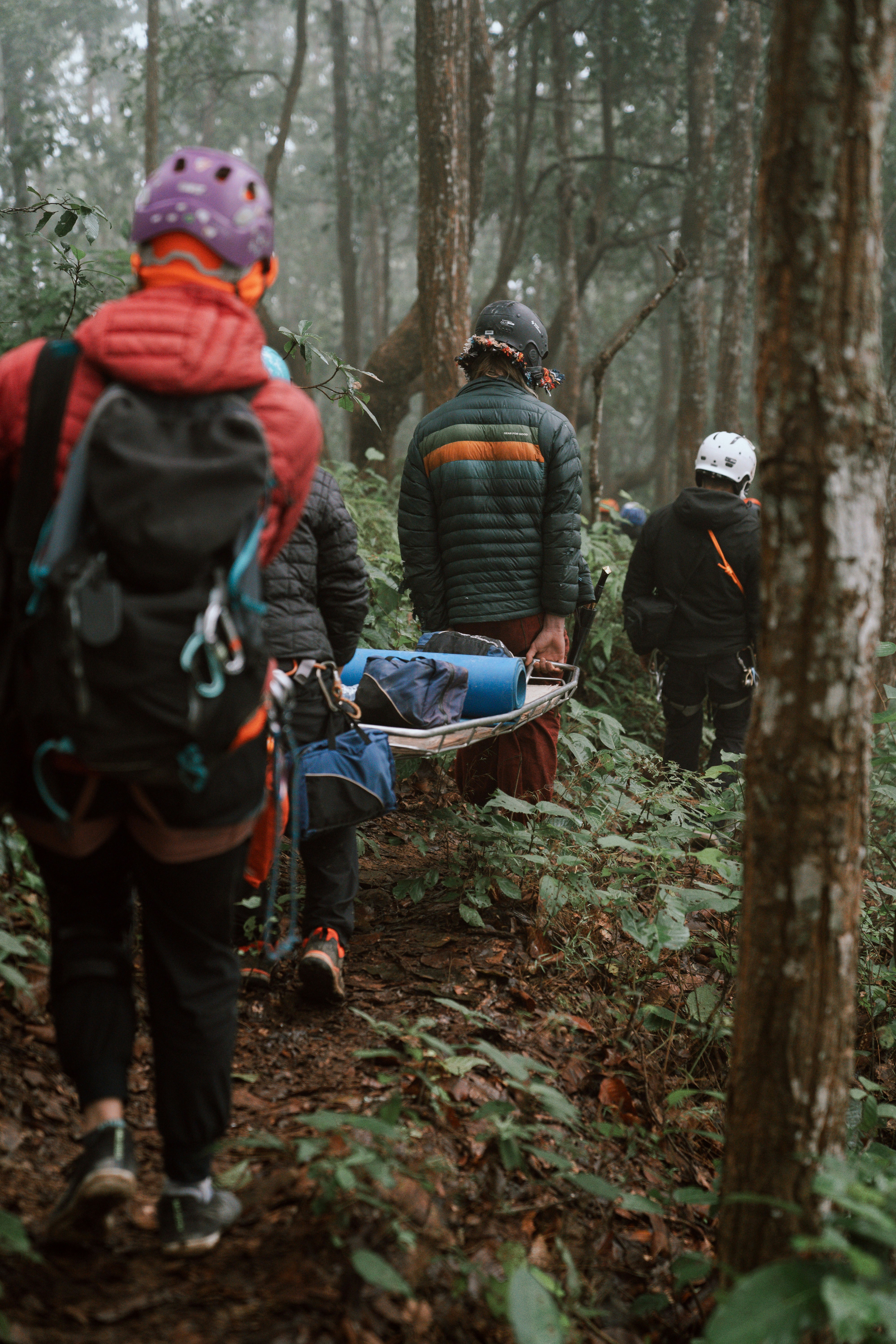 Mid-Morestretch Ascent: A Team of Climbers Navigates a Fern-Dotted Path
