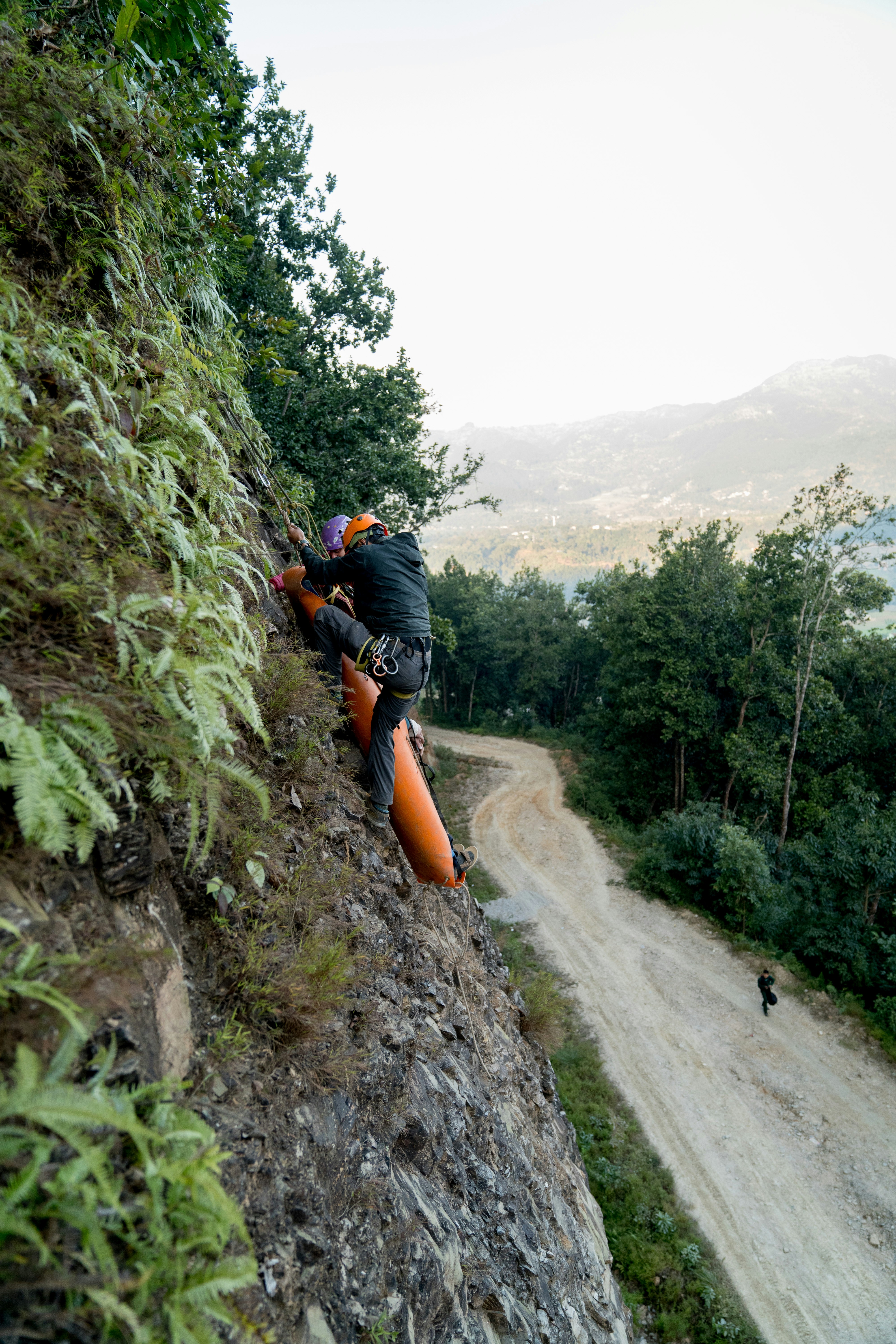 Orange-Helmet Ascent on a Fern-Fringed Cliff