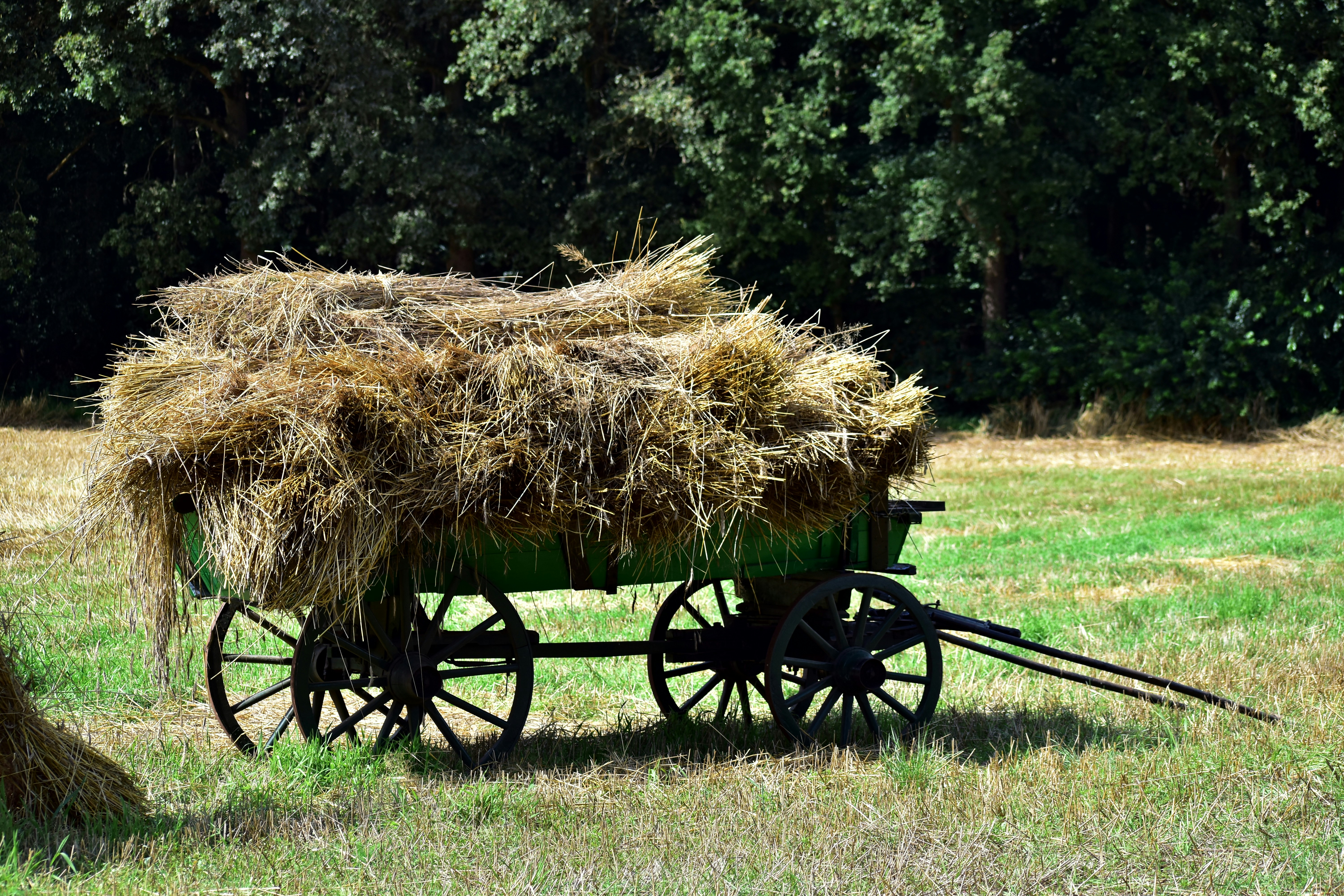 A farm cart with straw and hay (Agriculture - harvest)