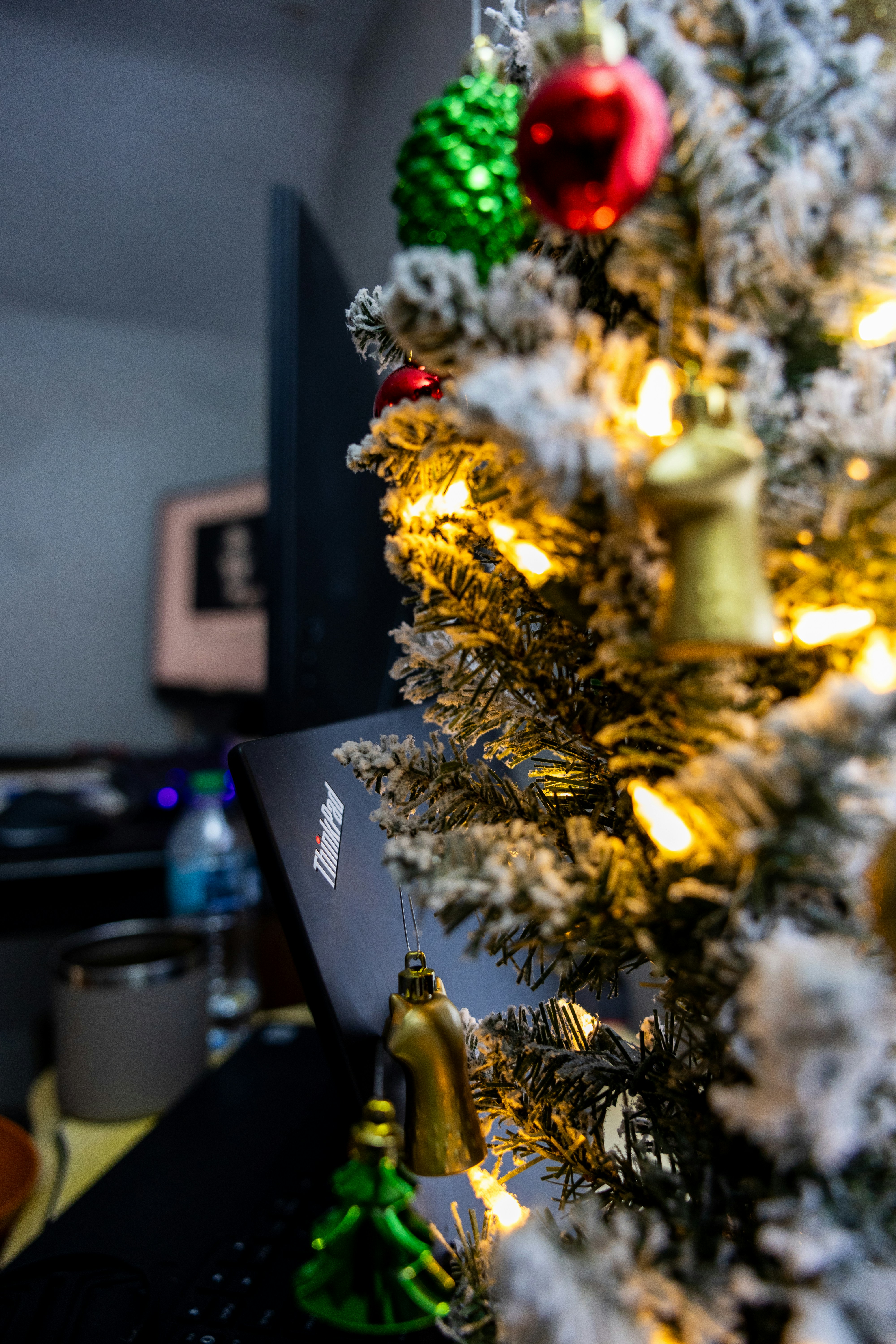 A decorated christmas tree with a laptop on it photo – Free Woman Image ...