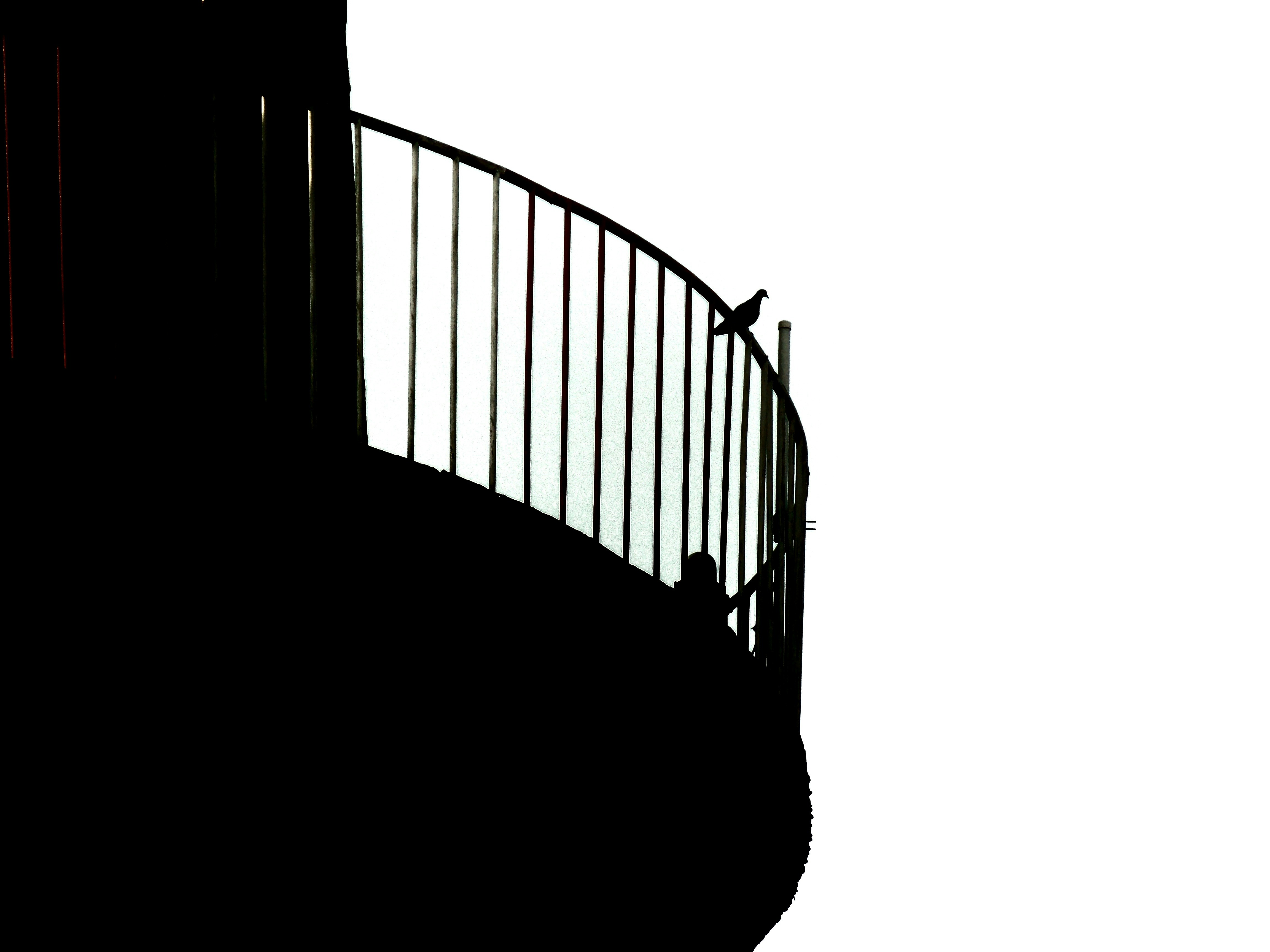 Photo by Muhammed Faizan Hussain with Nikon Coolpix L320